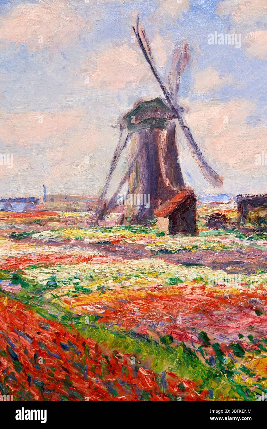 Tulip Field in Holland, (close up) 1886, Claude Monet (París, 1840 ...