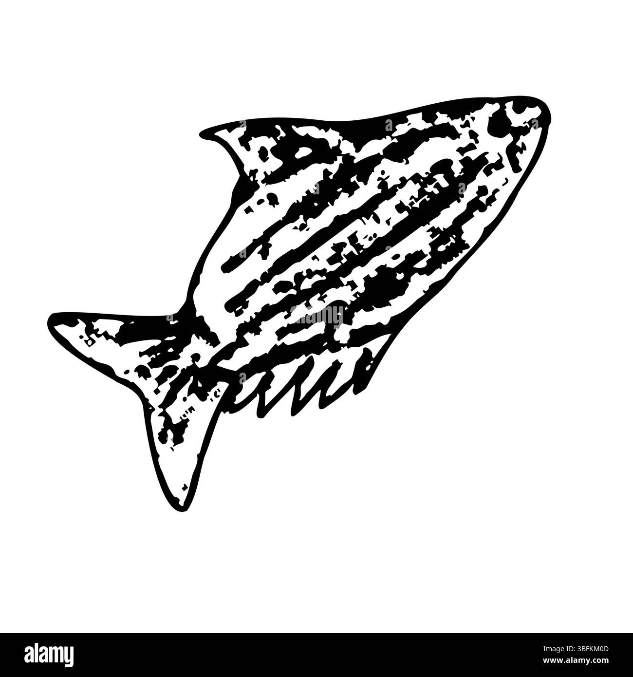 Artistic black and white illustration of a shark in underwater marine ...