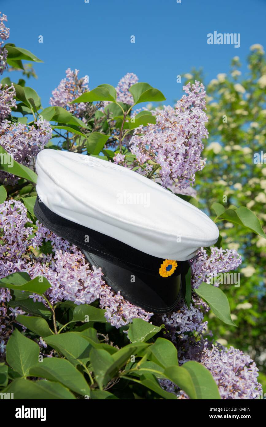 Swedish traditional graduation cap hi-res stock photography and images ...
