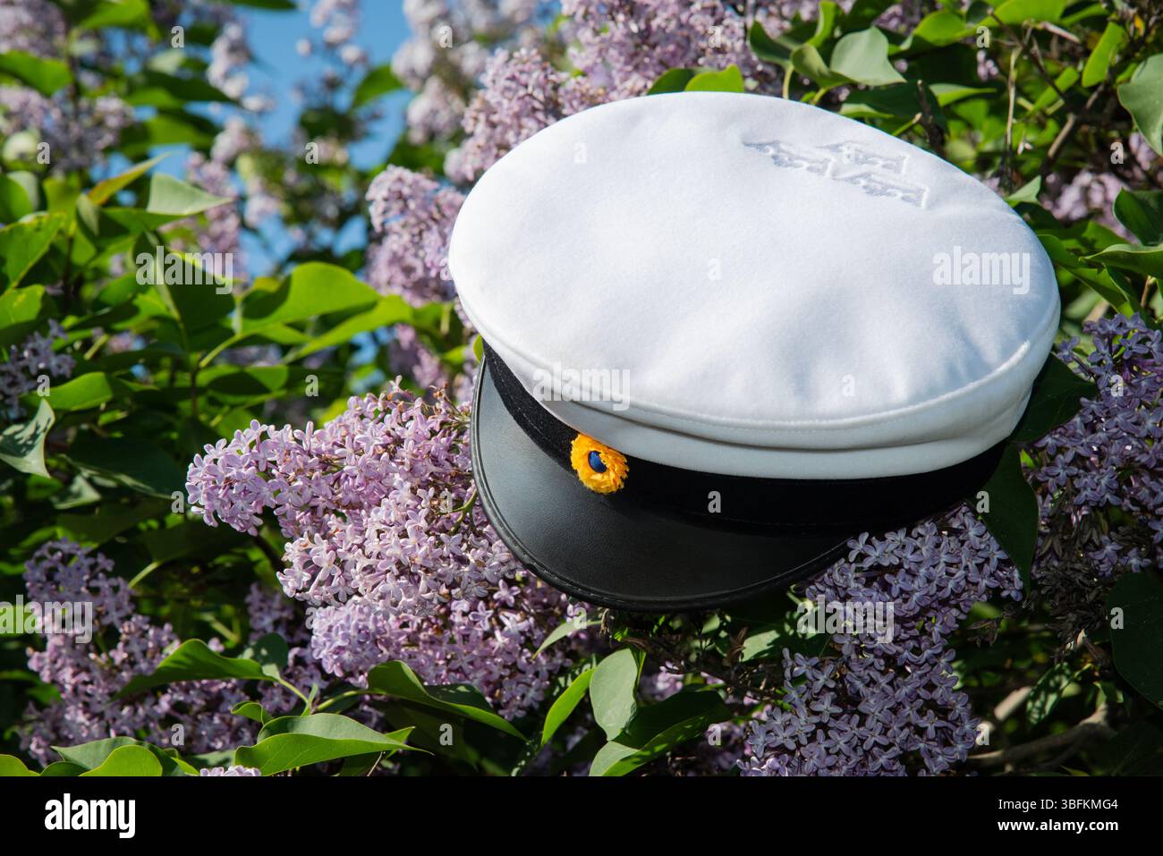 Swedish graduation ceremony hi-res stock photography and images - Alamy