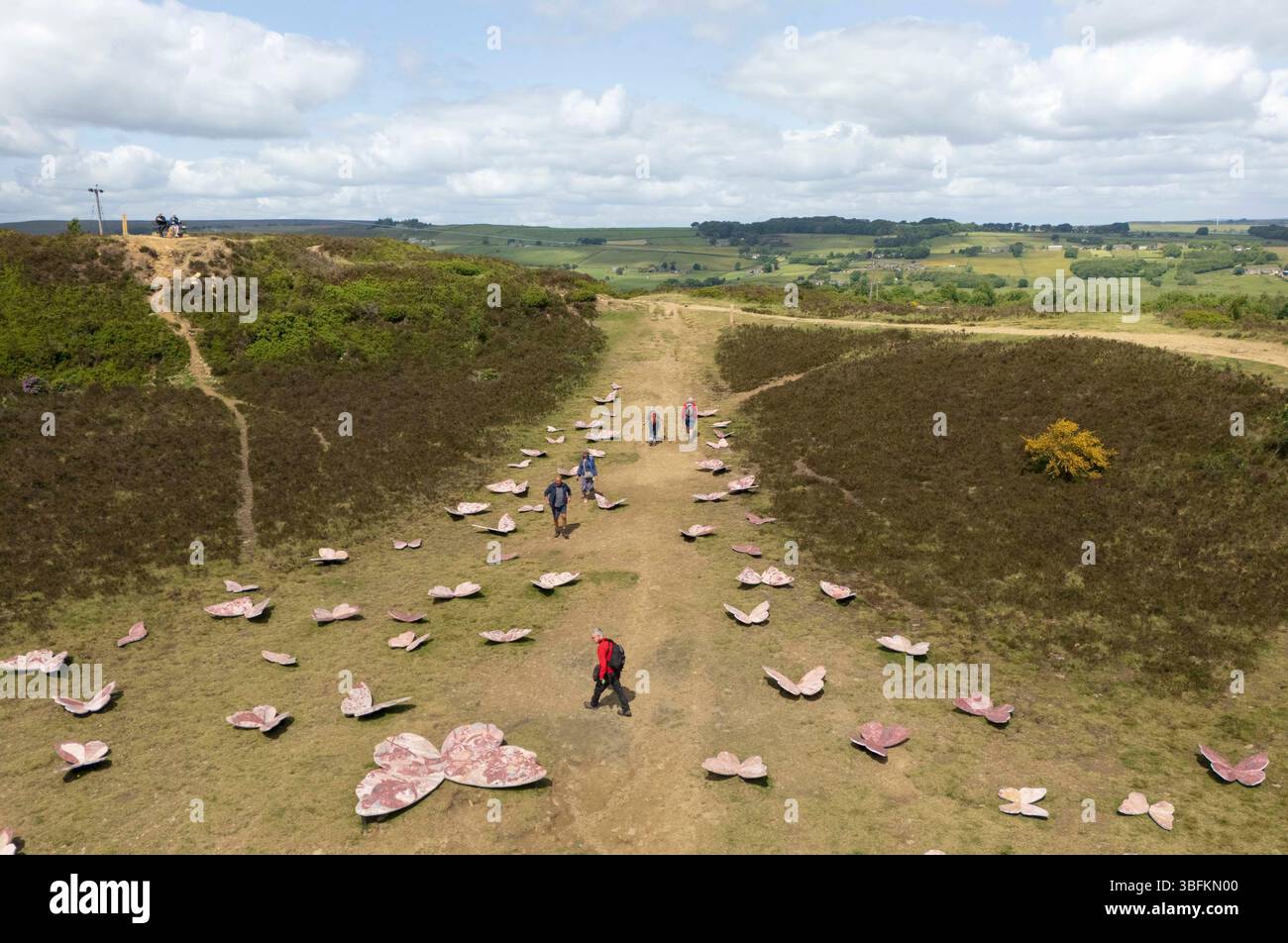 99 Butterflies by Meherunnisa Asad on display as part of Wild Uplands ...