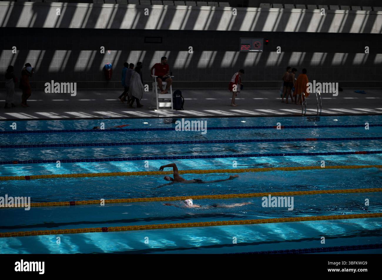 Illustration of swimmers in the pools of the « Grand Paris » Olympic ...