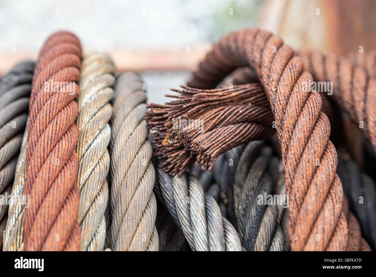 Close-up of frayed metal cable end with varying degrees of rust on coiled steel ropes ...