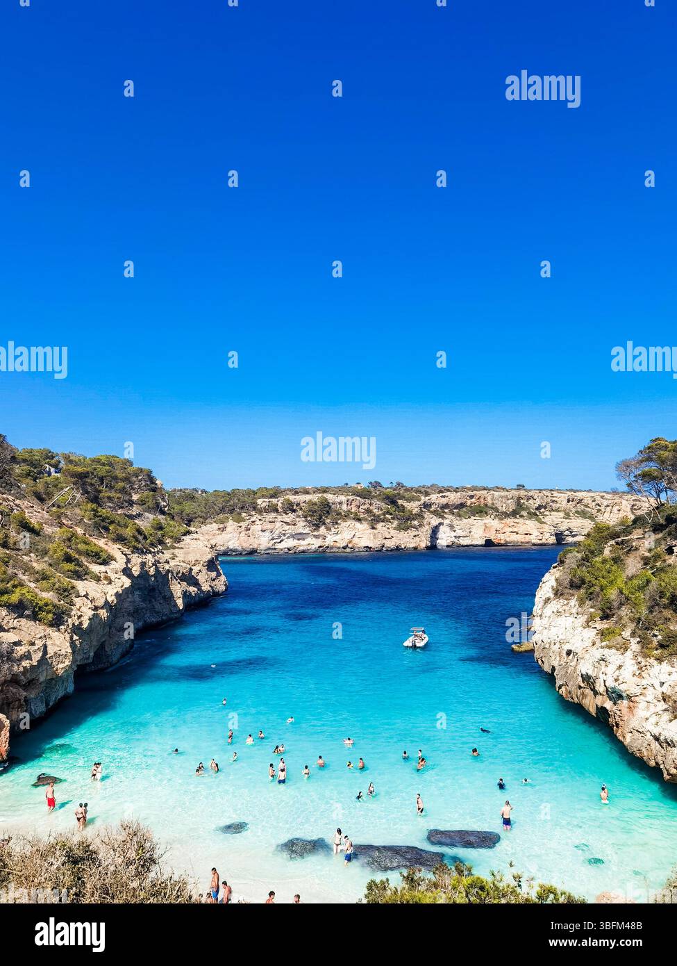 Turquoise Mediterranean cove surrounded by lush pine trees, seen from ...