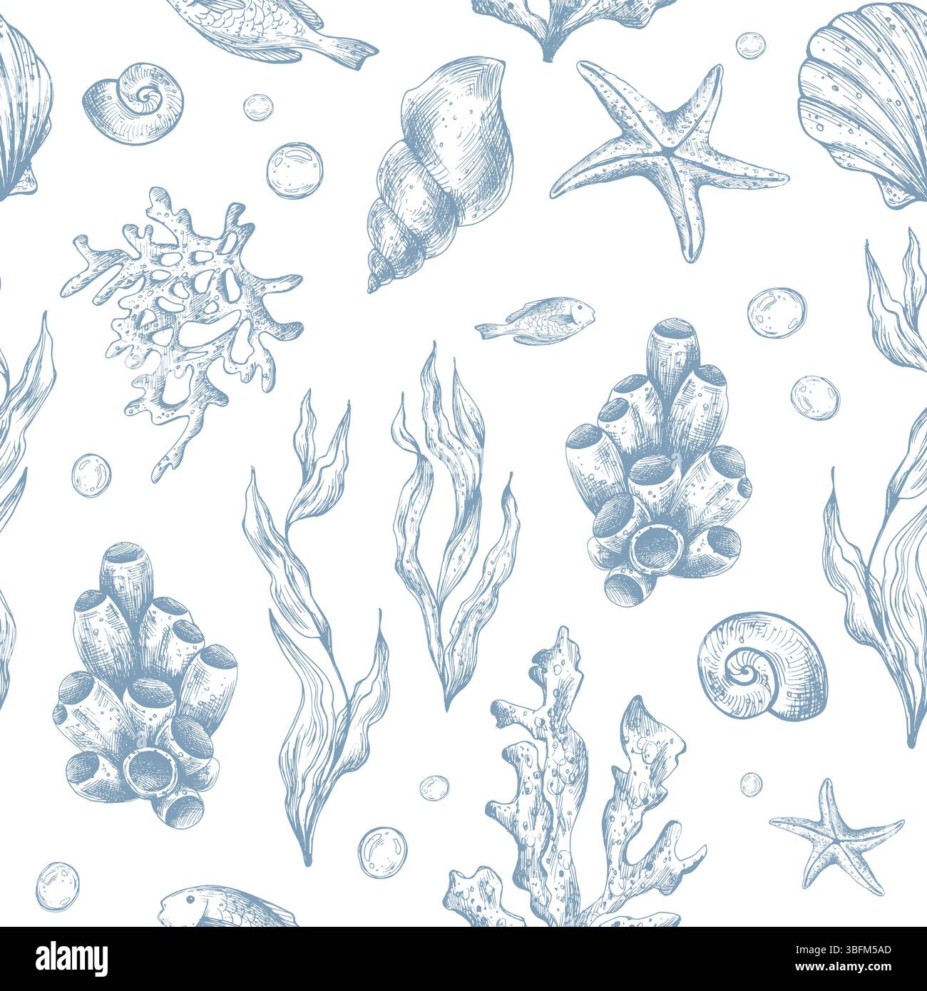 Marine underwater clip art with shells, sea sponges, corals, starfish ...
