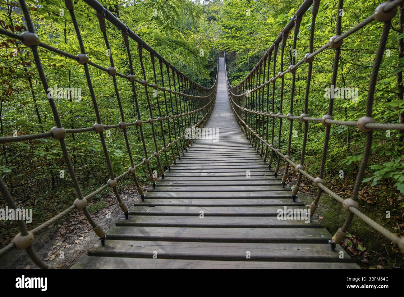 Wooden suspension bridge over a gorge, beautiful nature and trees in ...