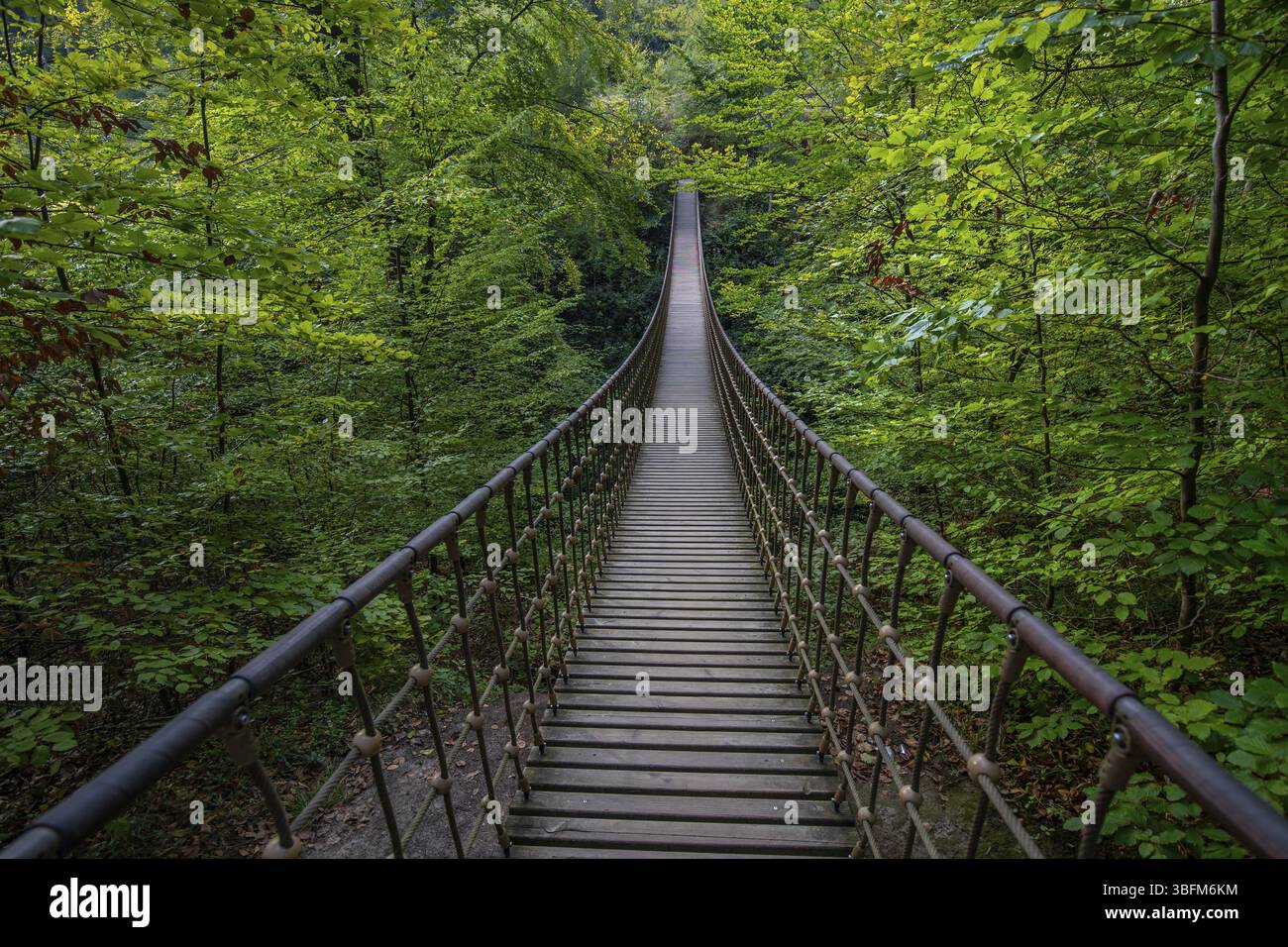 Wooden suspension bridge over a gorge, beautiful nature and trees in ...