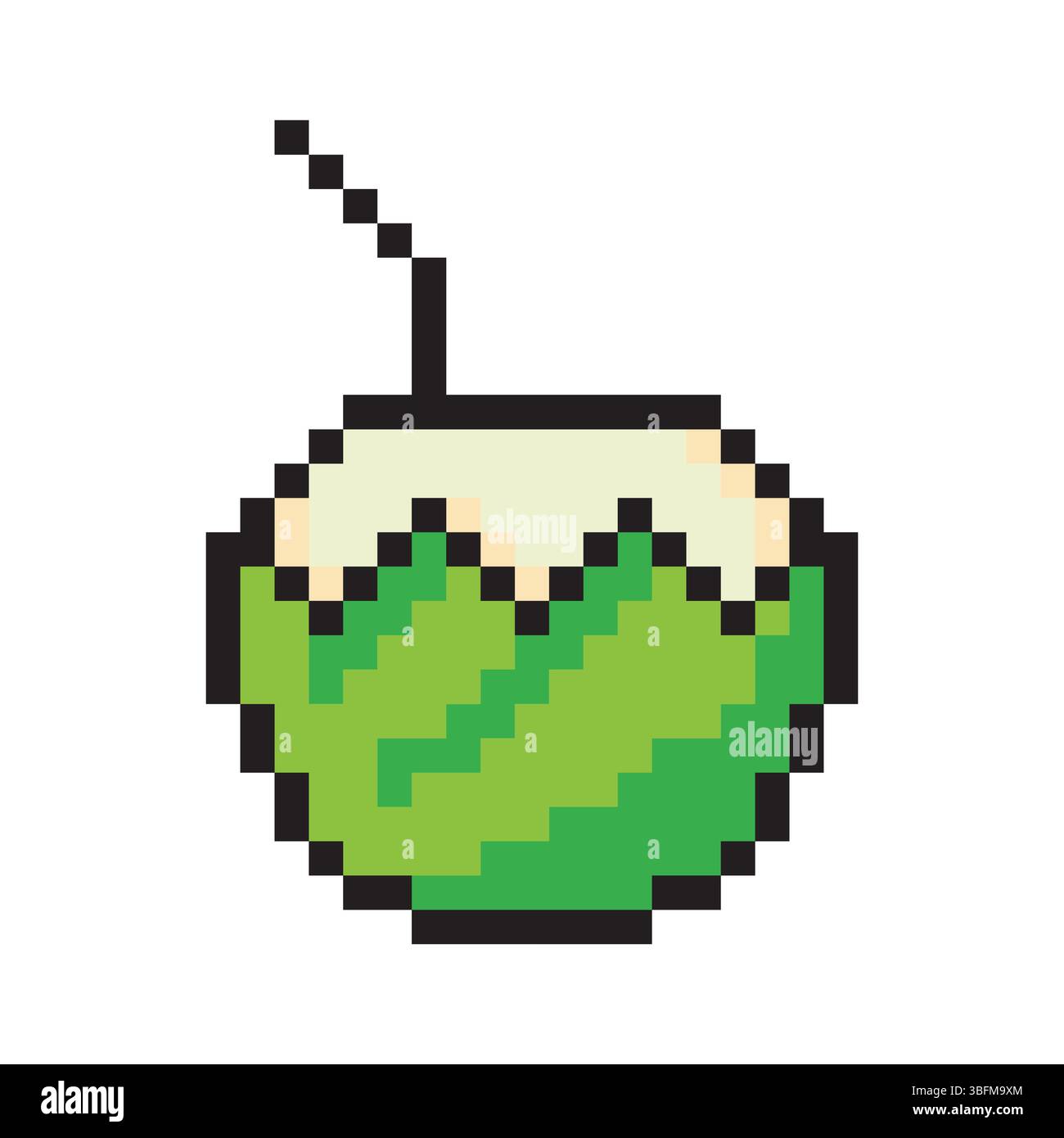 Green coconut in tree Stock Vector Images - Alamy