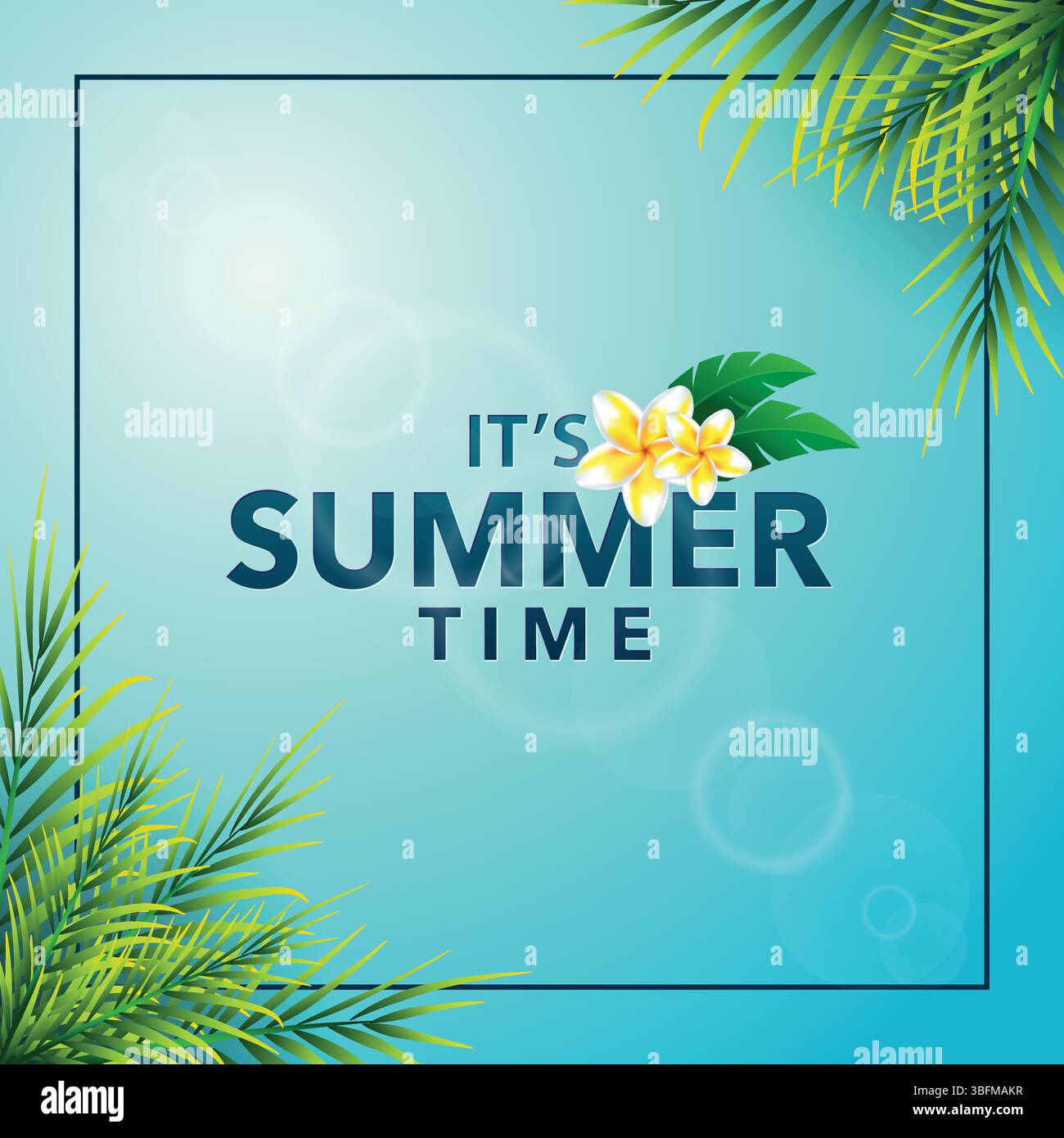 Palm leaves summer time illustration with frame tropical palm Stock ...