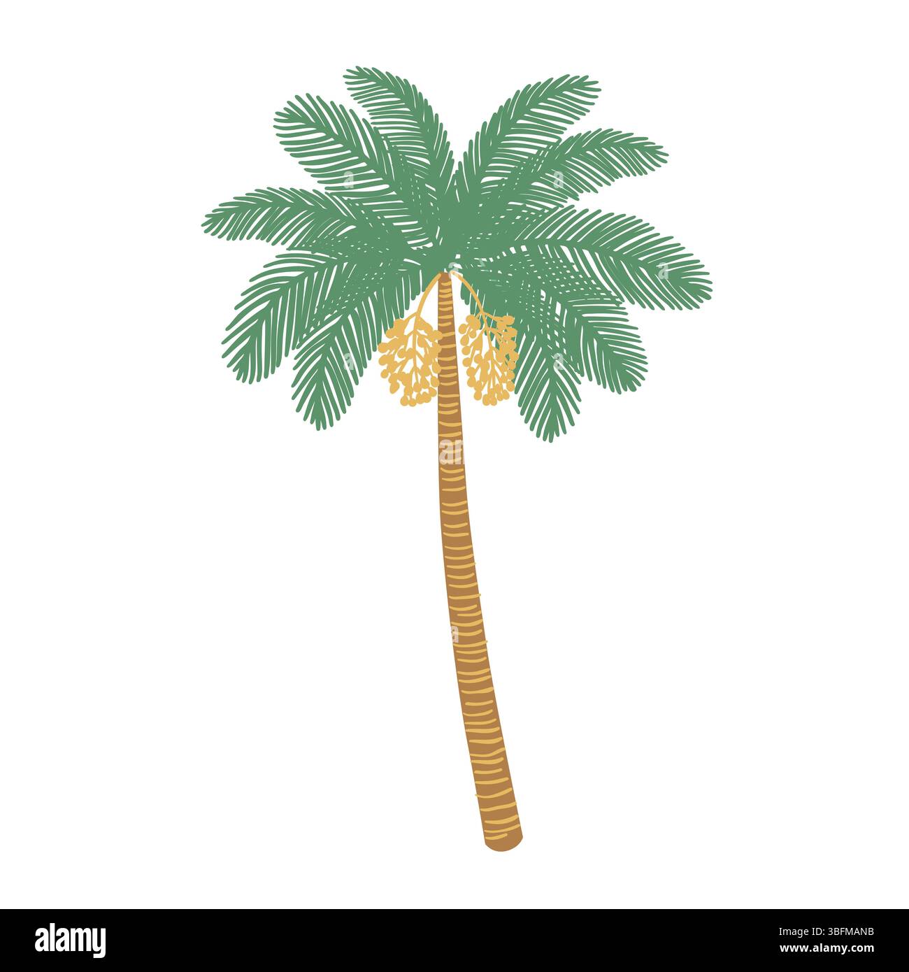 Palm tree designs Stock Vector Images - Alamy