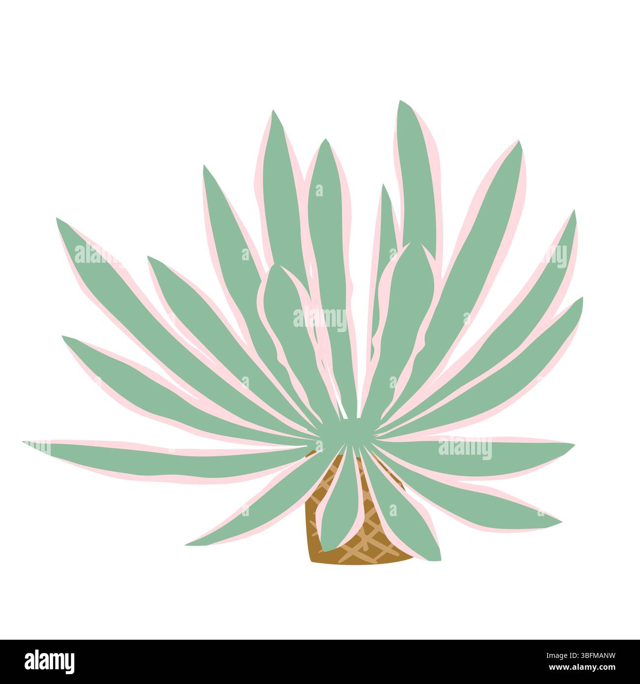 Cactus tree india Stock Vector Images - Alamy