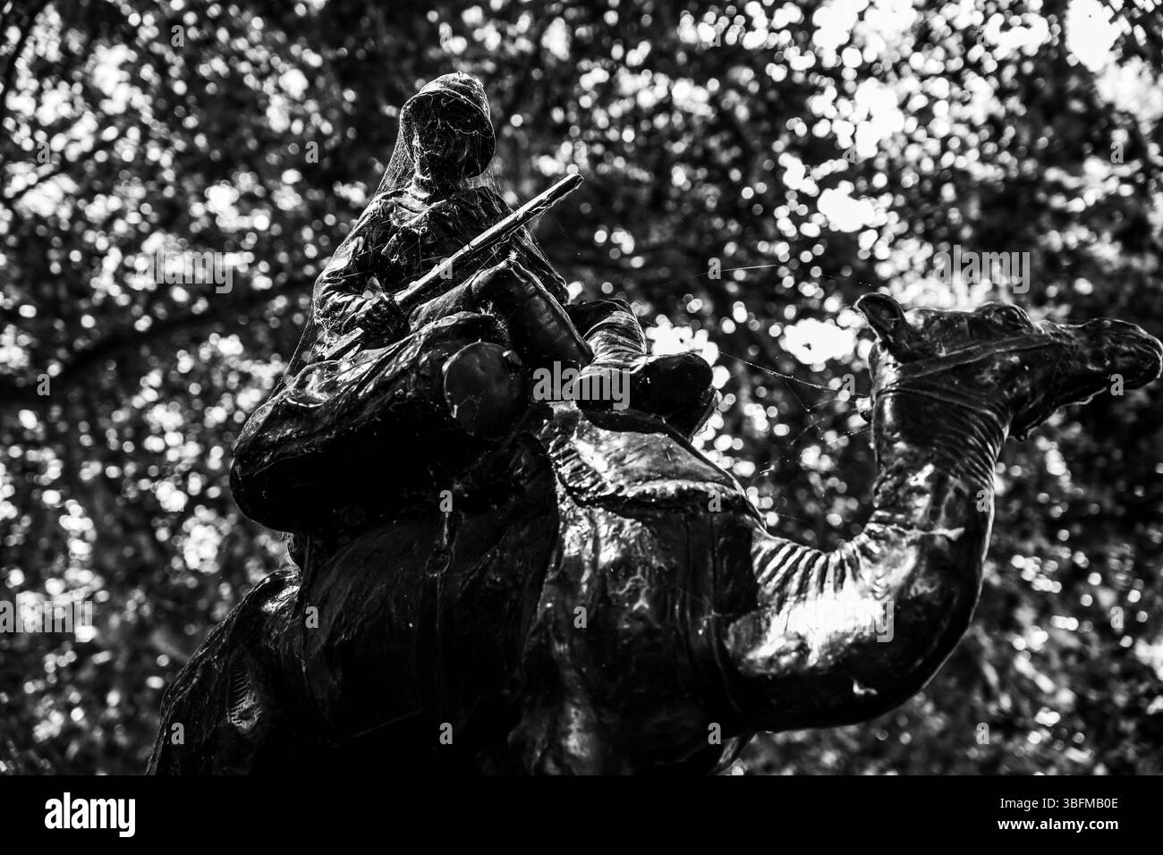 Camel Corps Memorial Stock Photo - Alamy