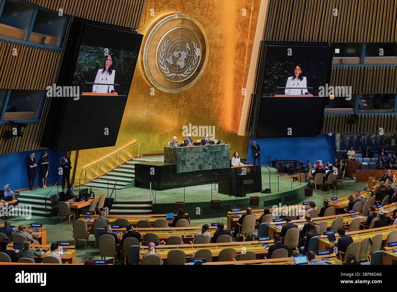 Annalena Baerbock of Germany addresses the United Nations General ...
