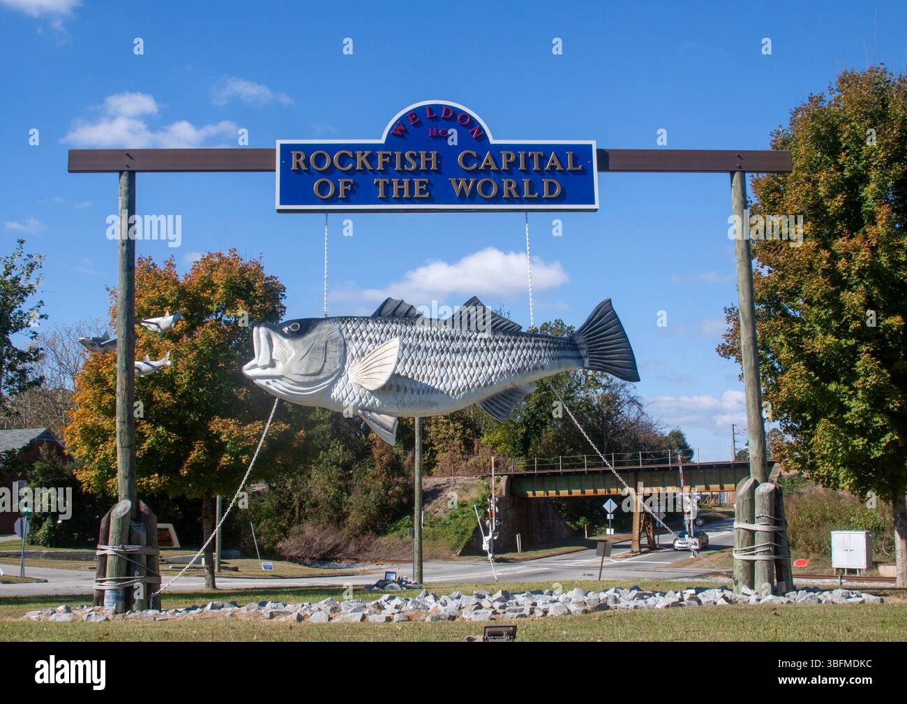 Rockfish capital of the world hi-res stock photography and images - Alamy