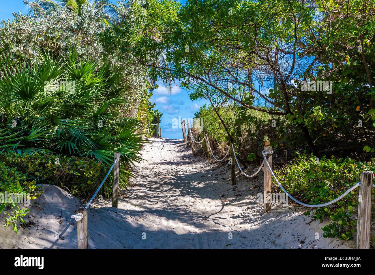 Beautiful coastal destination miami beach hi-res stock photography and ...