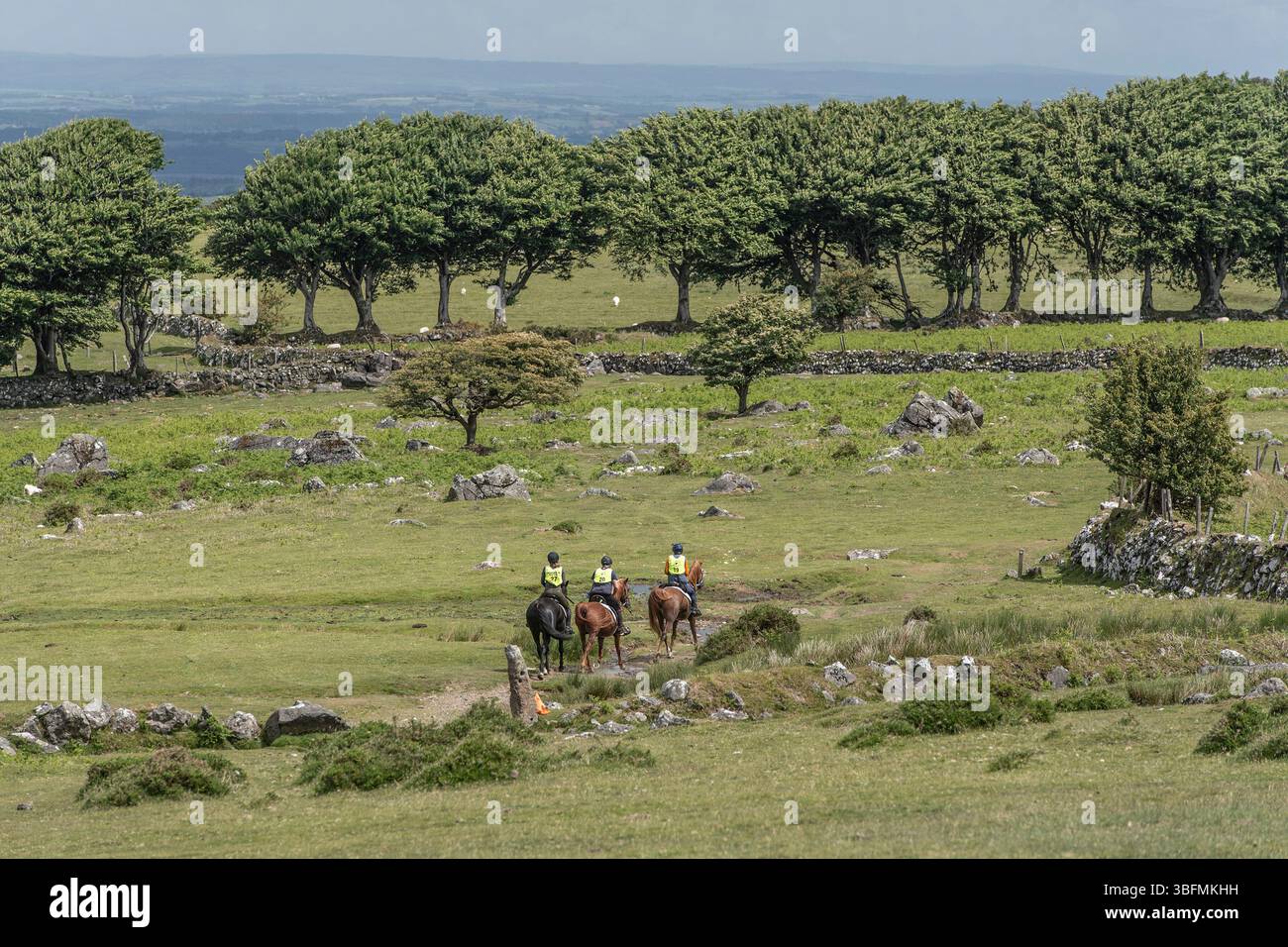 Endurance riding hi-res stock photography and images - Alamy