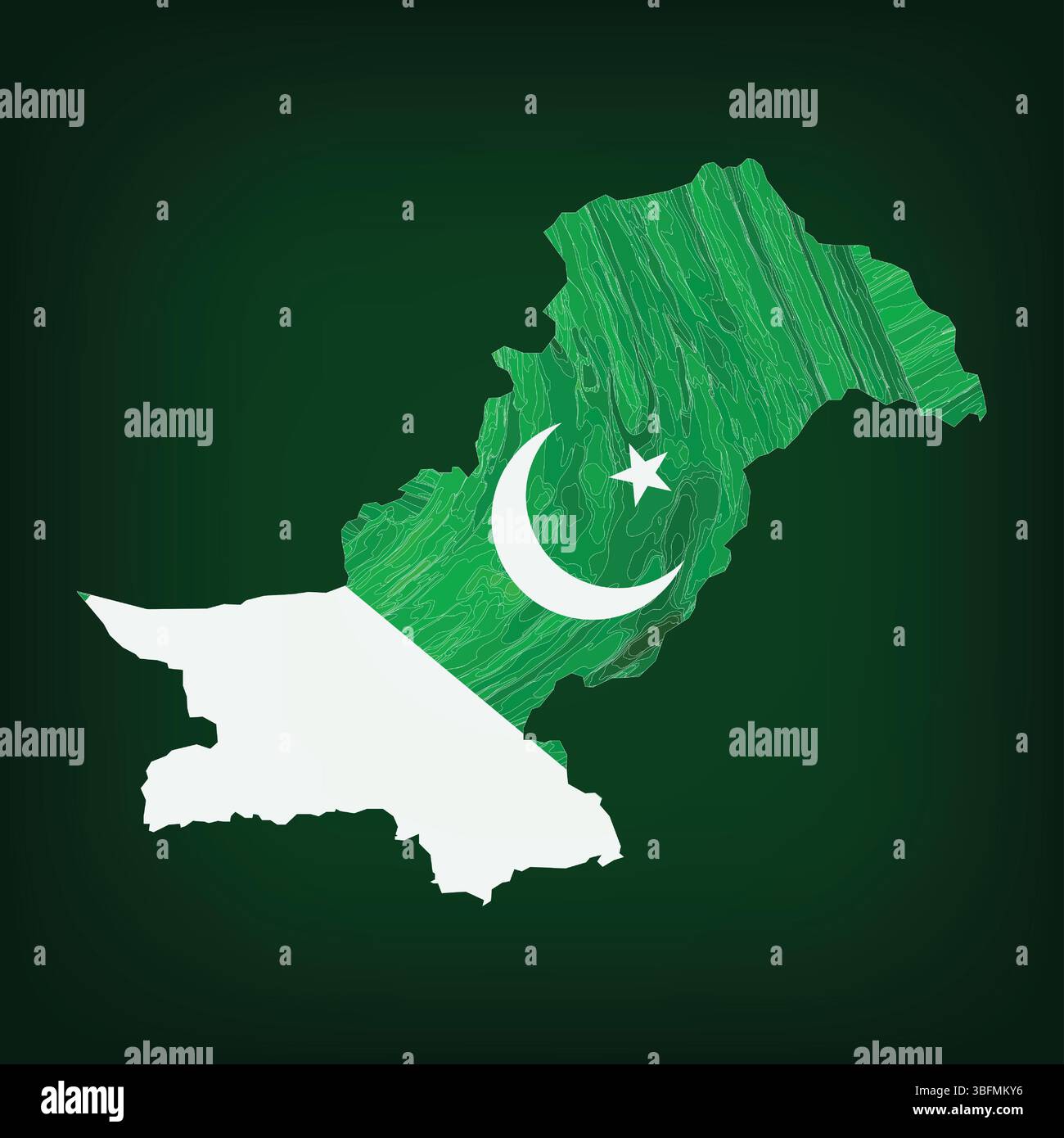 Pakistan's official map is in the Pakistani flag, with a dark green ...