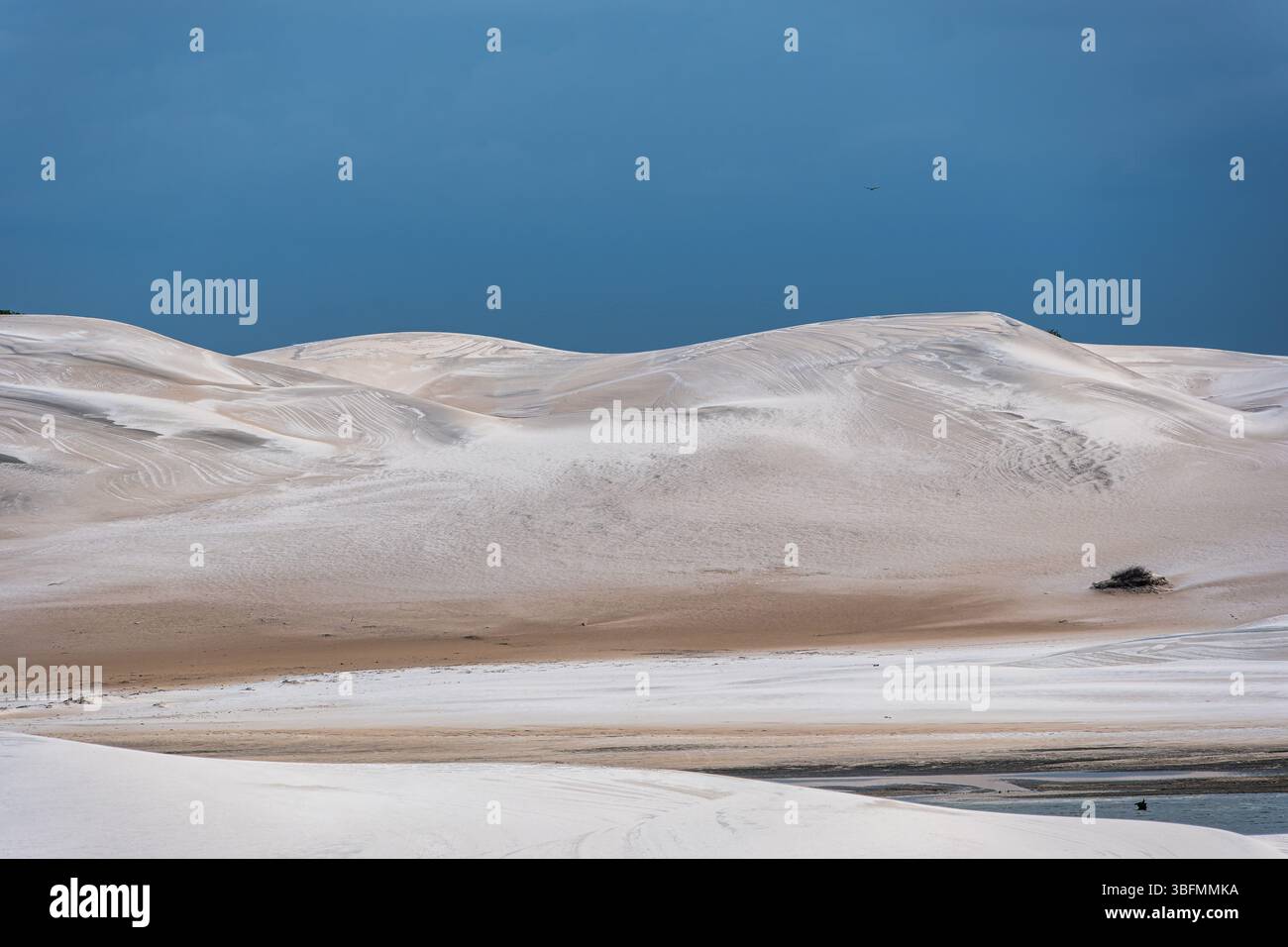 Dunes and lagoons of lagoa bonita, Lencois Maranhenses, Barreirinhas in ...