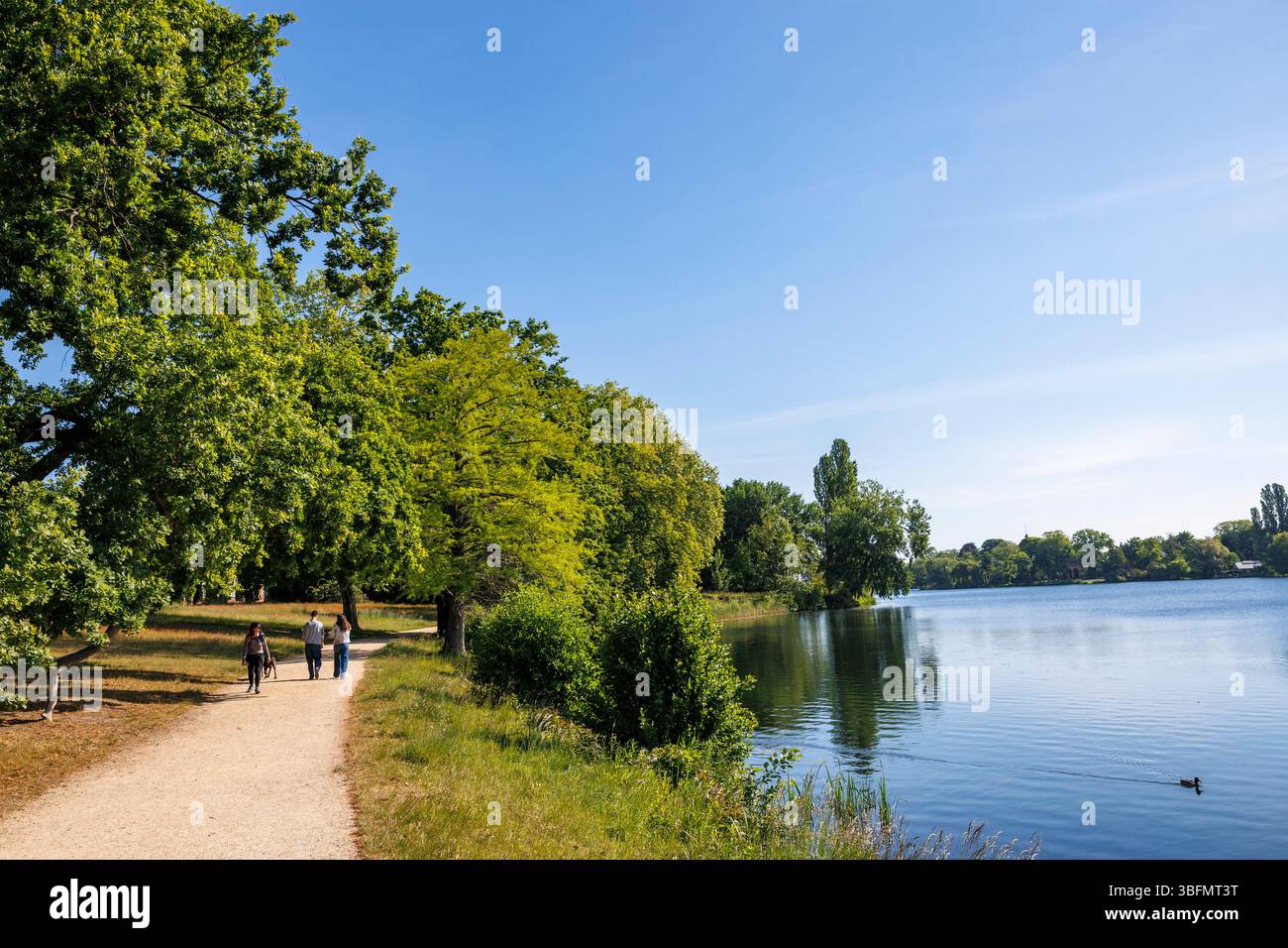 lakeside path at Heilger See in the New Garden park (German: Neuer ...
