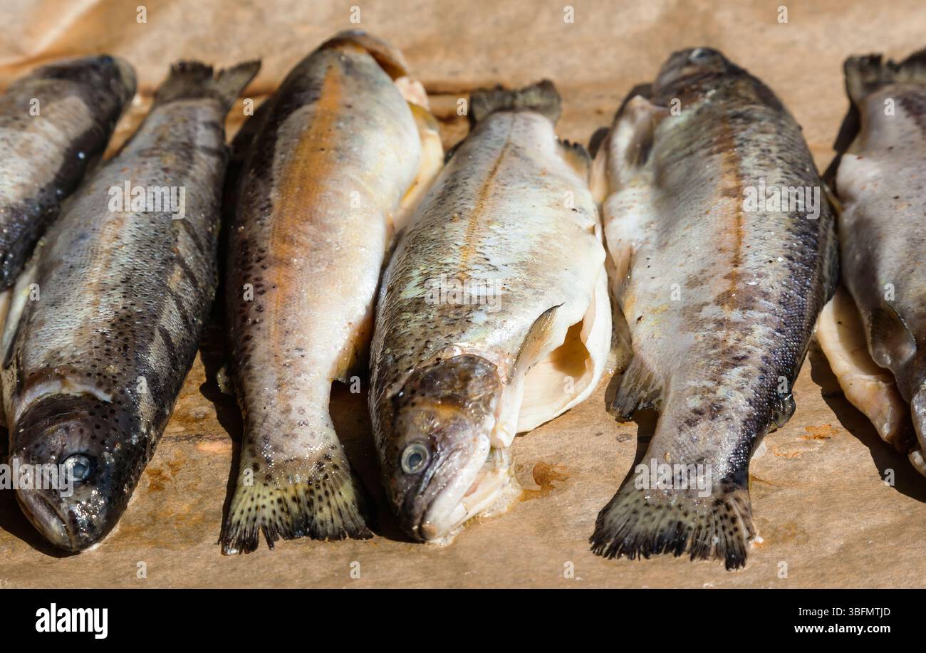 Fresh peeled trout lies on parchment paper Stock Photo - Alamy