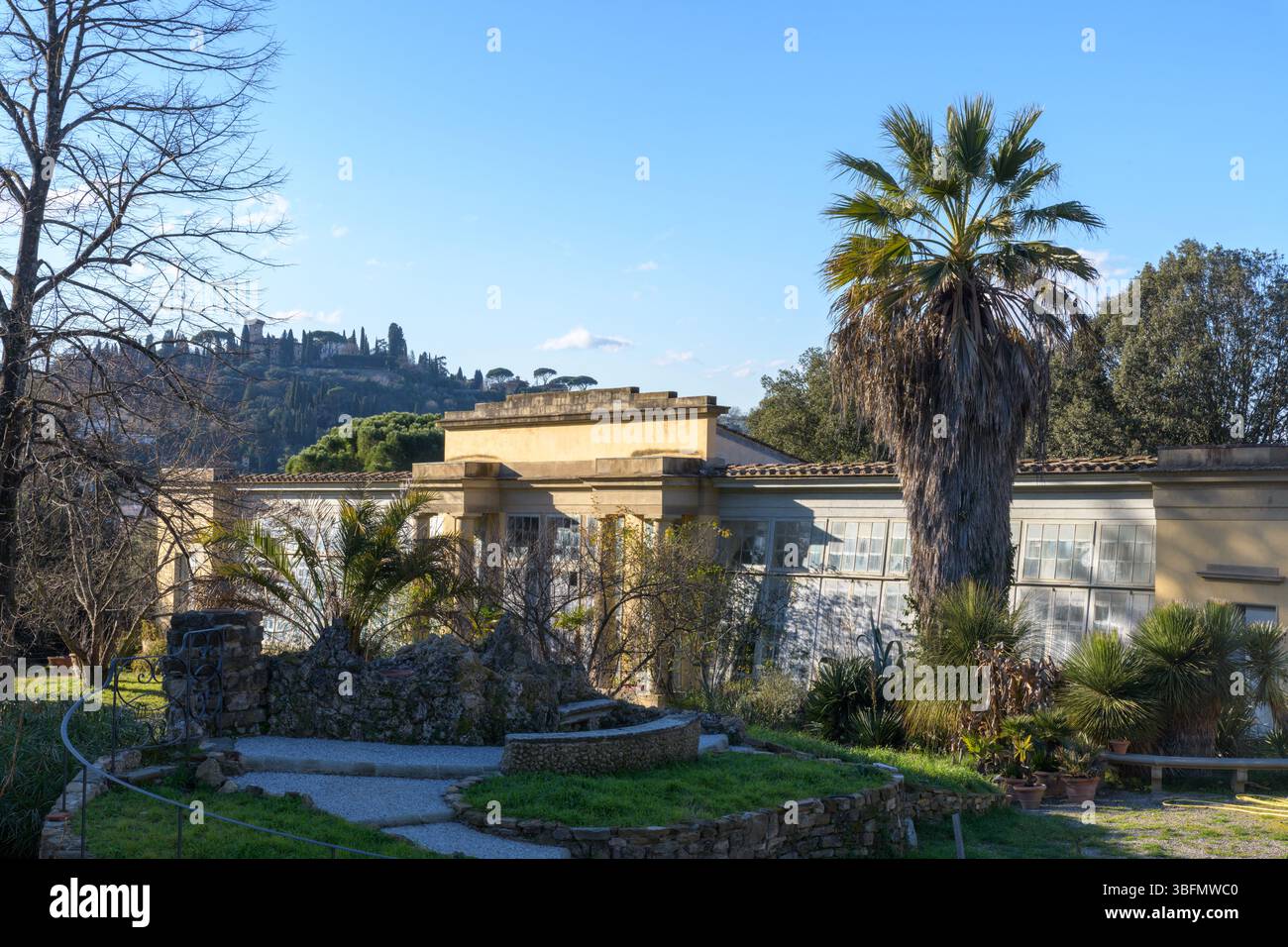Greenhouse and subtropical plants in Giardino della Botanica Superiore ...