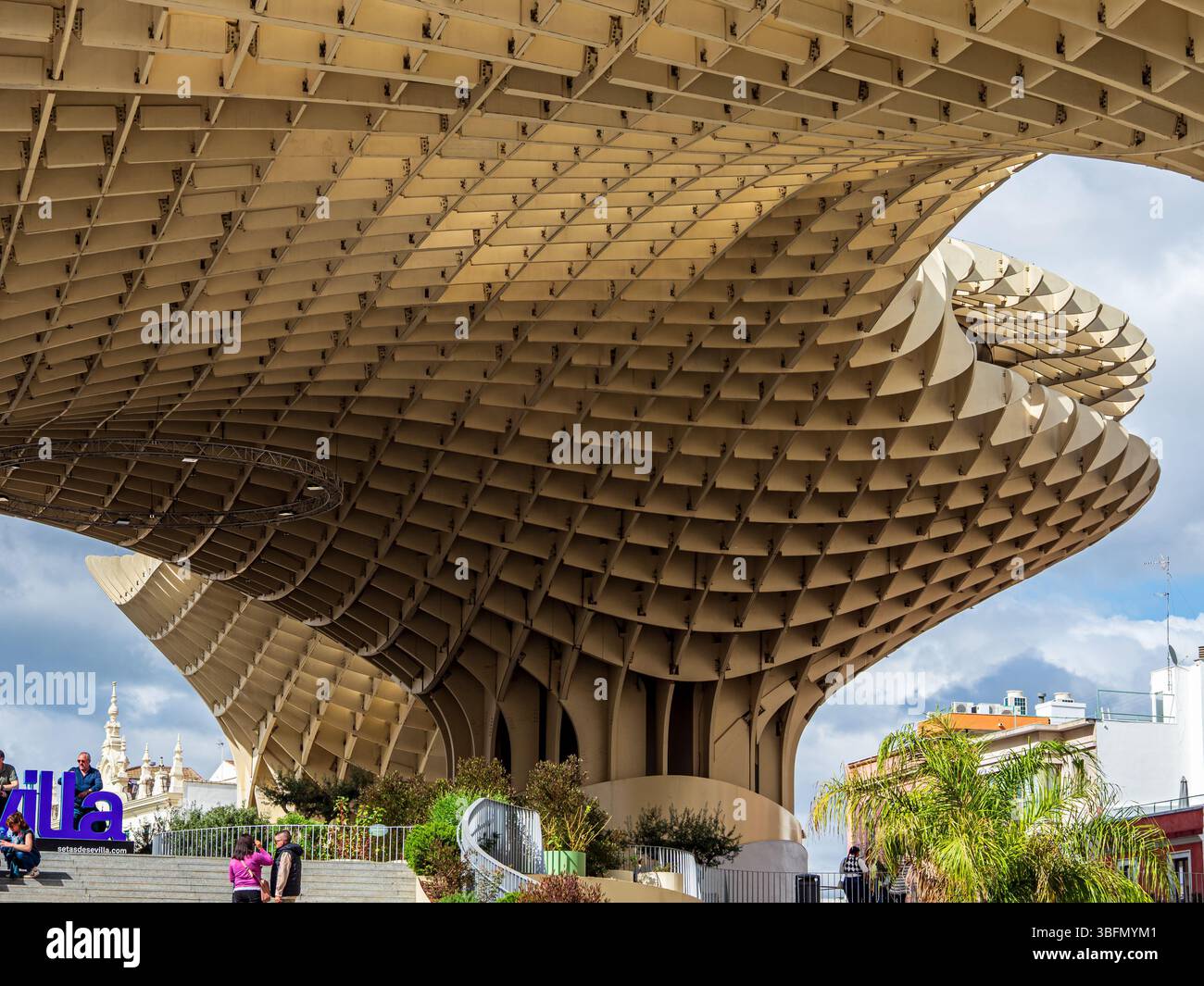 Parasol mushroom shaped structure hi-res stock photography and images ...