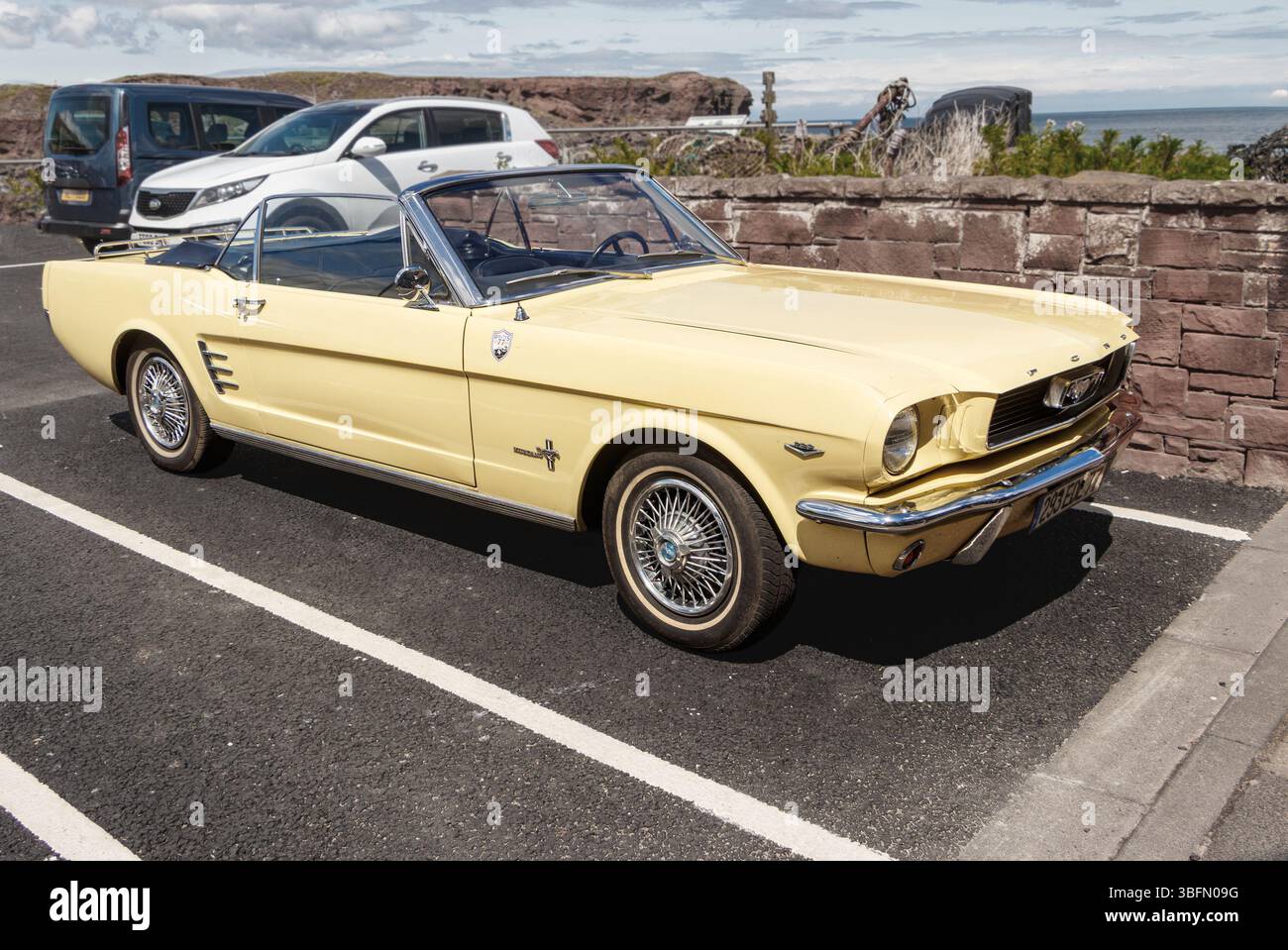 vintage light yellow classic convertible 1960s Ford mustang Stock Photo ...