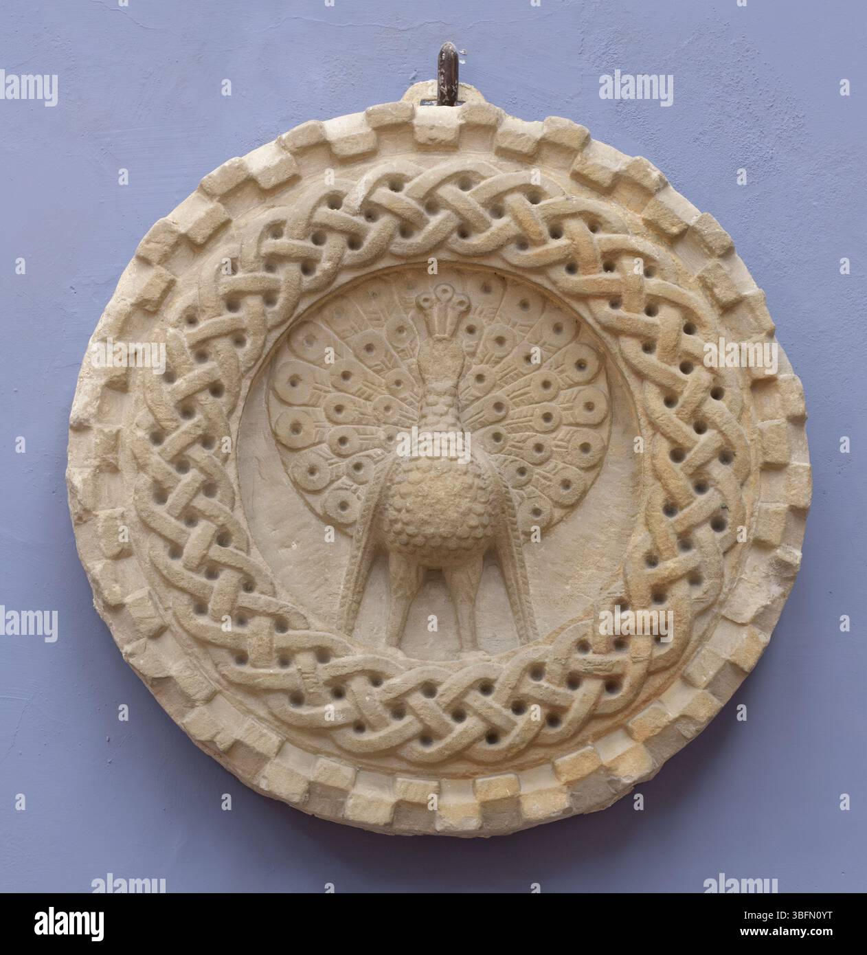 White marble relief (patera) depicting a peacock with open tail ...