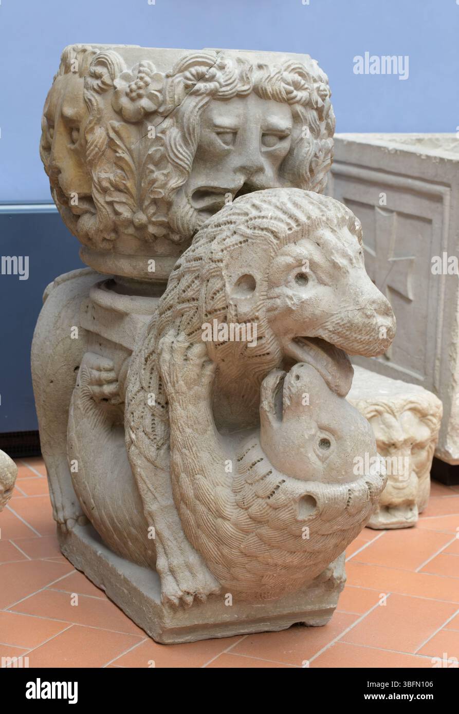 Romanesque lion-shaped column support (stiloforo) from Lucca, biting a ...