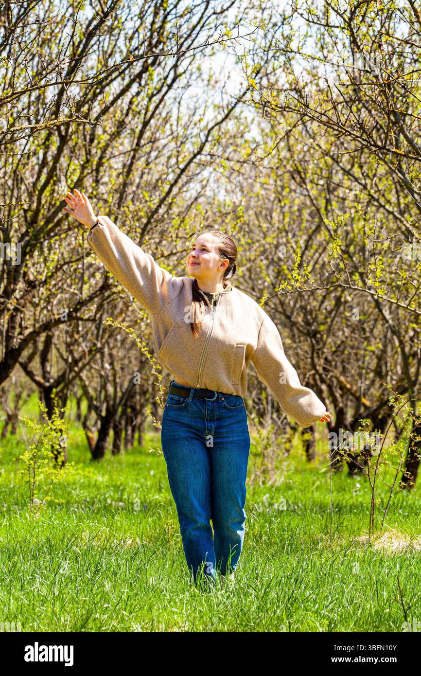 Picture of an almond orchard while a very beautiful and attractive girl ...