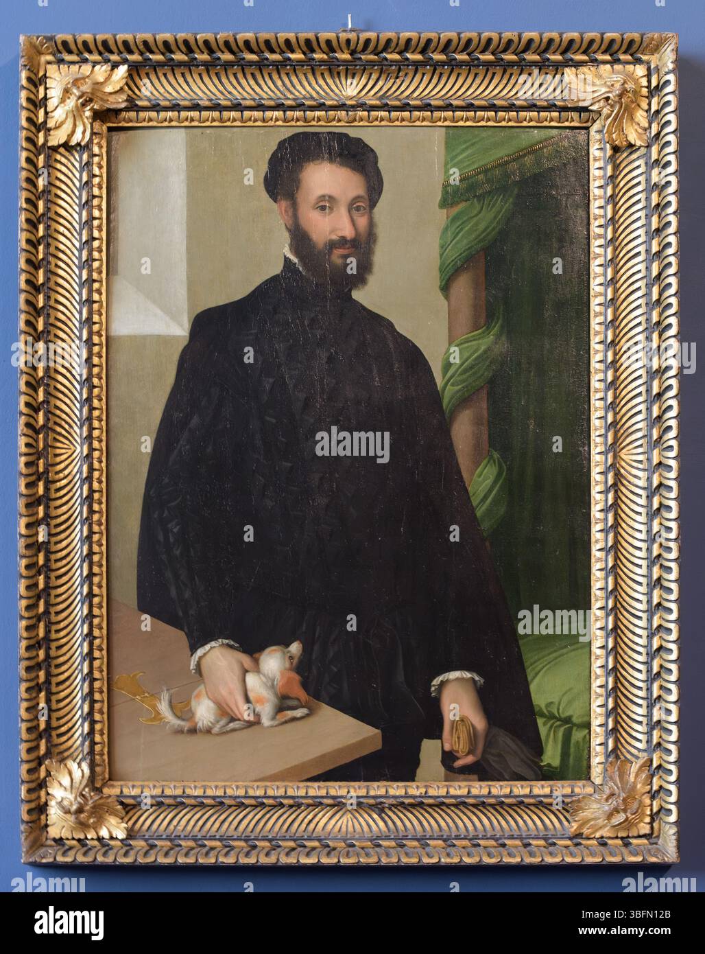 16th century portrait green hi-res stock photography and images - Alamy