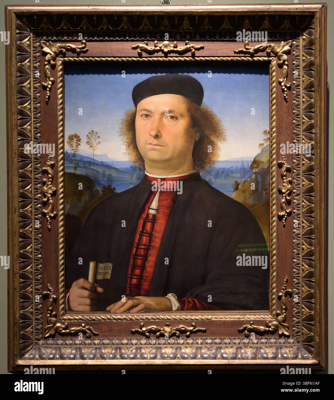 Portrait of Francesco delle Opere by Pietro Perugino, oil on panel ...