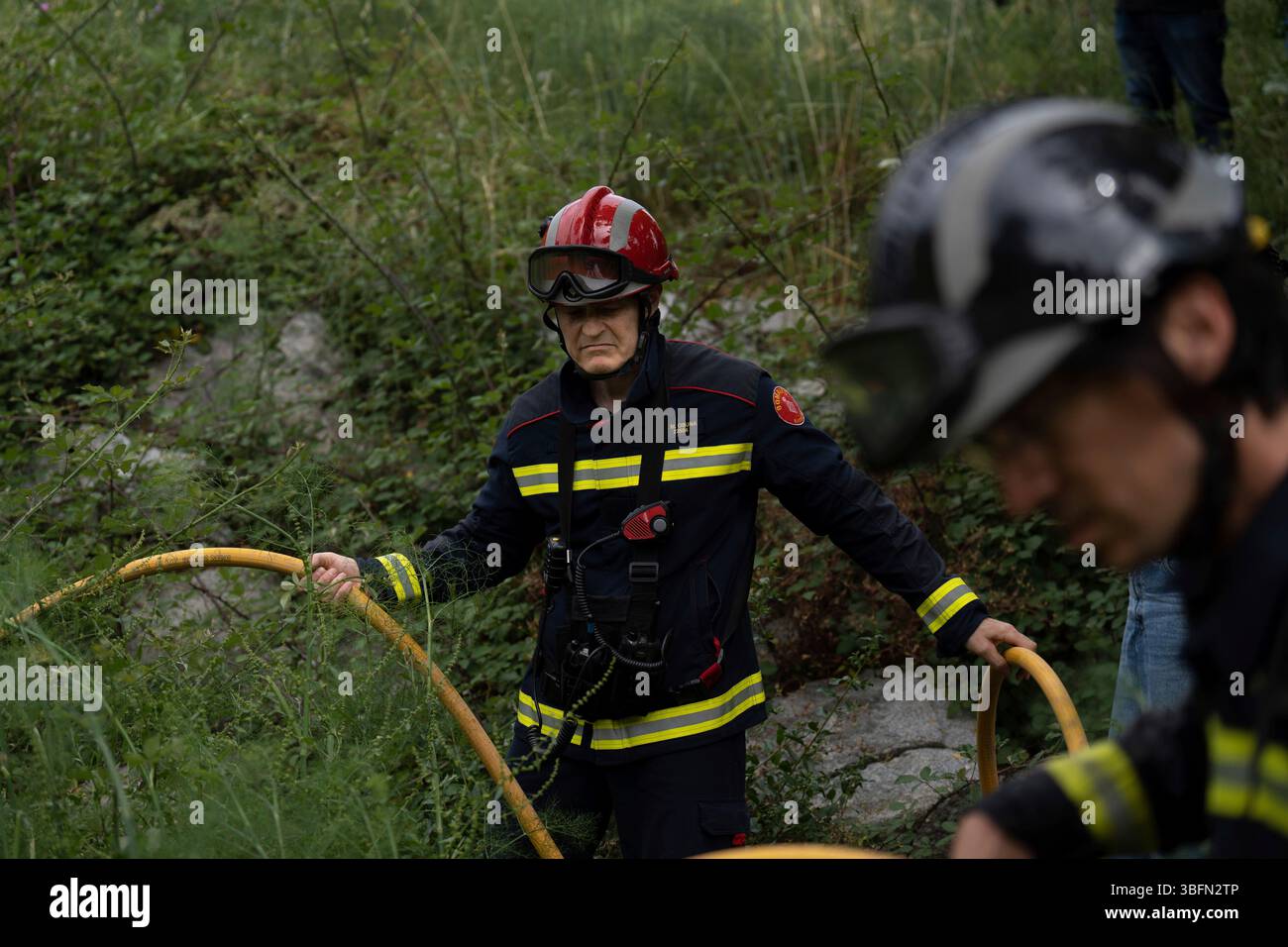Firefighters during a forest fire drill in Collserola mountain, on June ...