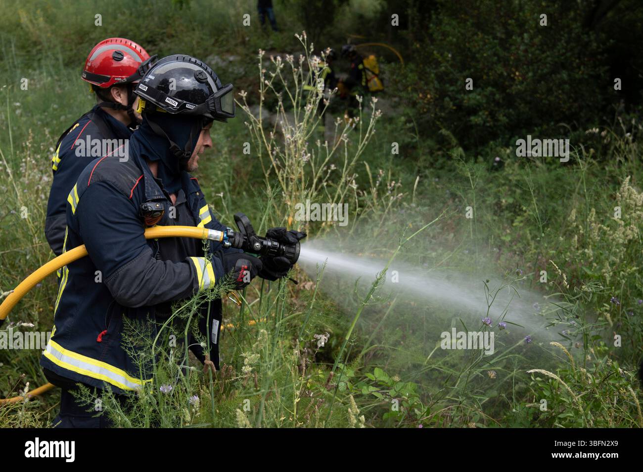 Firefighters during a forest fire drill in Collserola mountain, on June ...