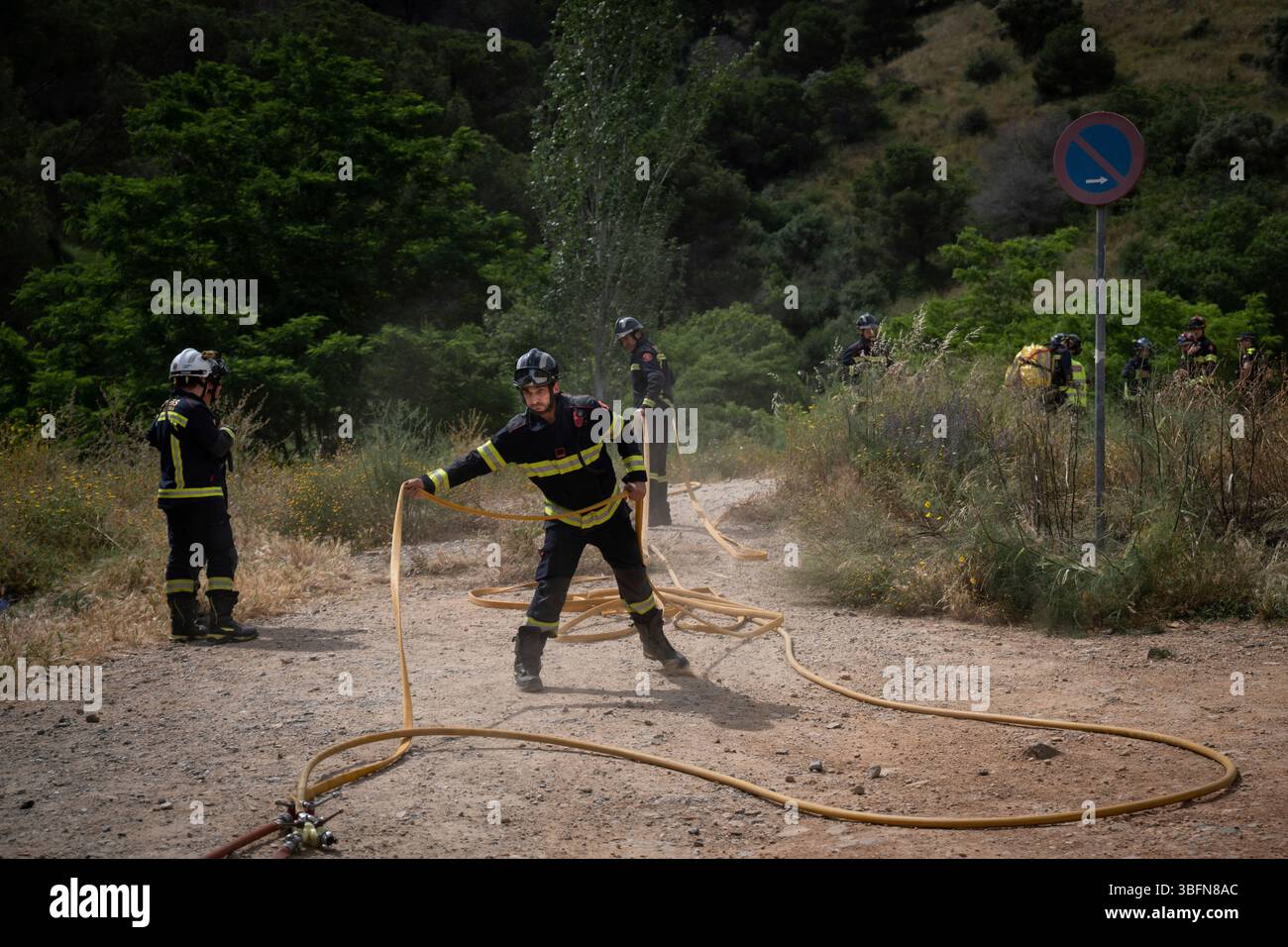 Firefighters during a forest fire drill in Collserola mountain, on June ...