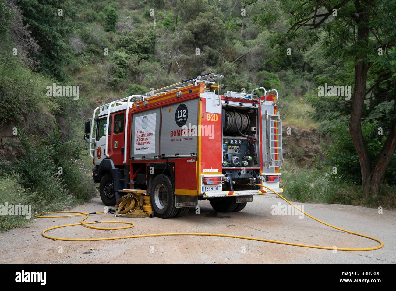 Firefighters during a forest fire drill in Collserola mountain, on June ...