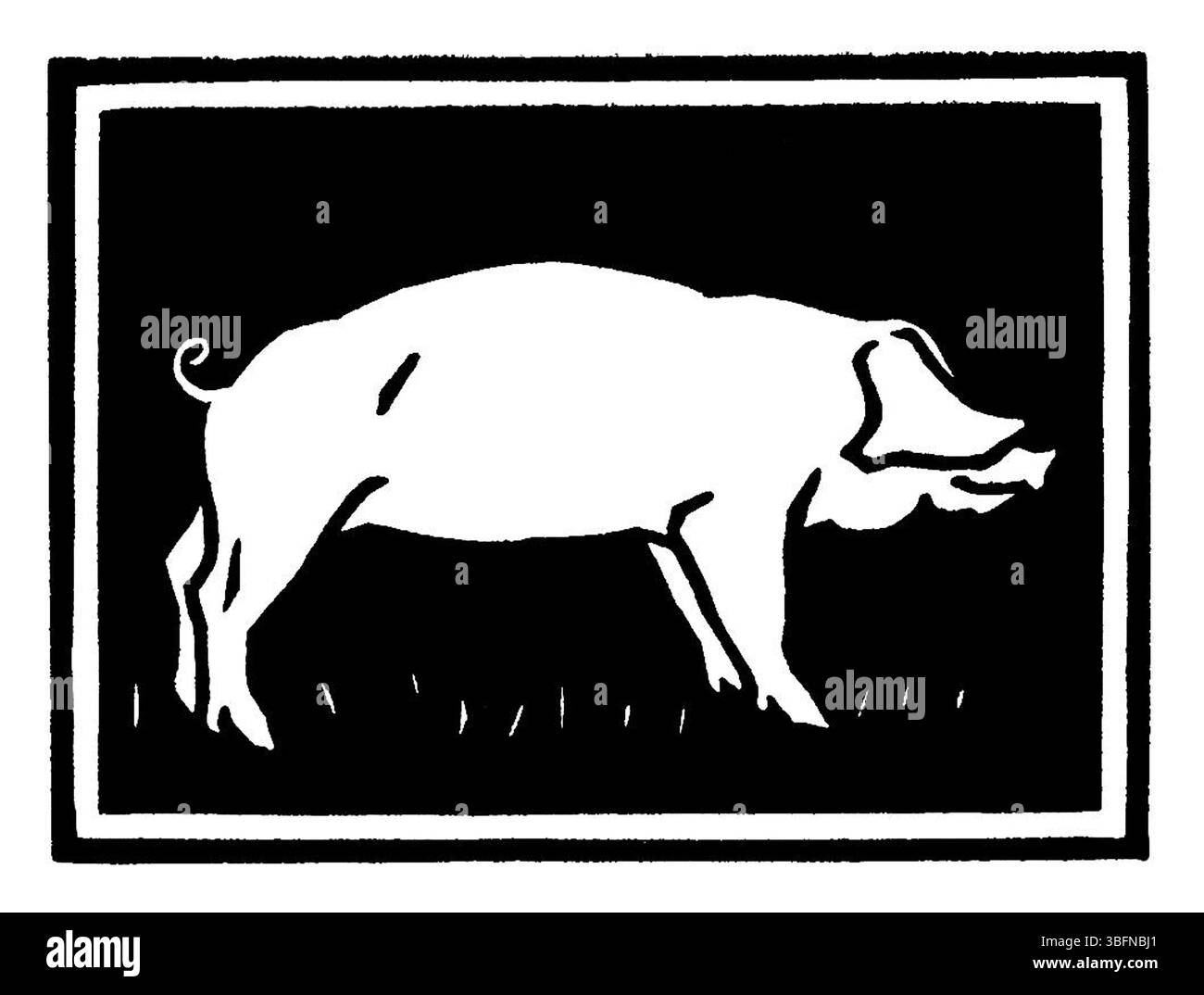 Animal and editorial use Cut Out Stock Images & Pictures - Alamy