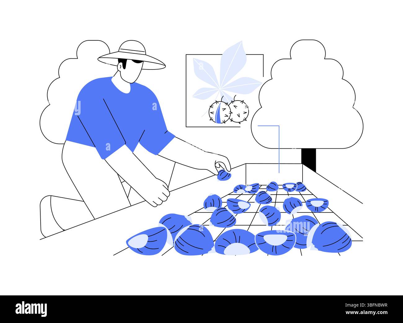 Chestnut farm isolated cartoon vector illustrations Stock Vector Image ...