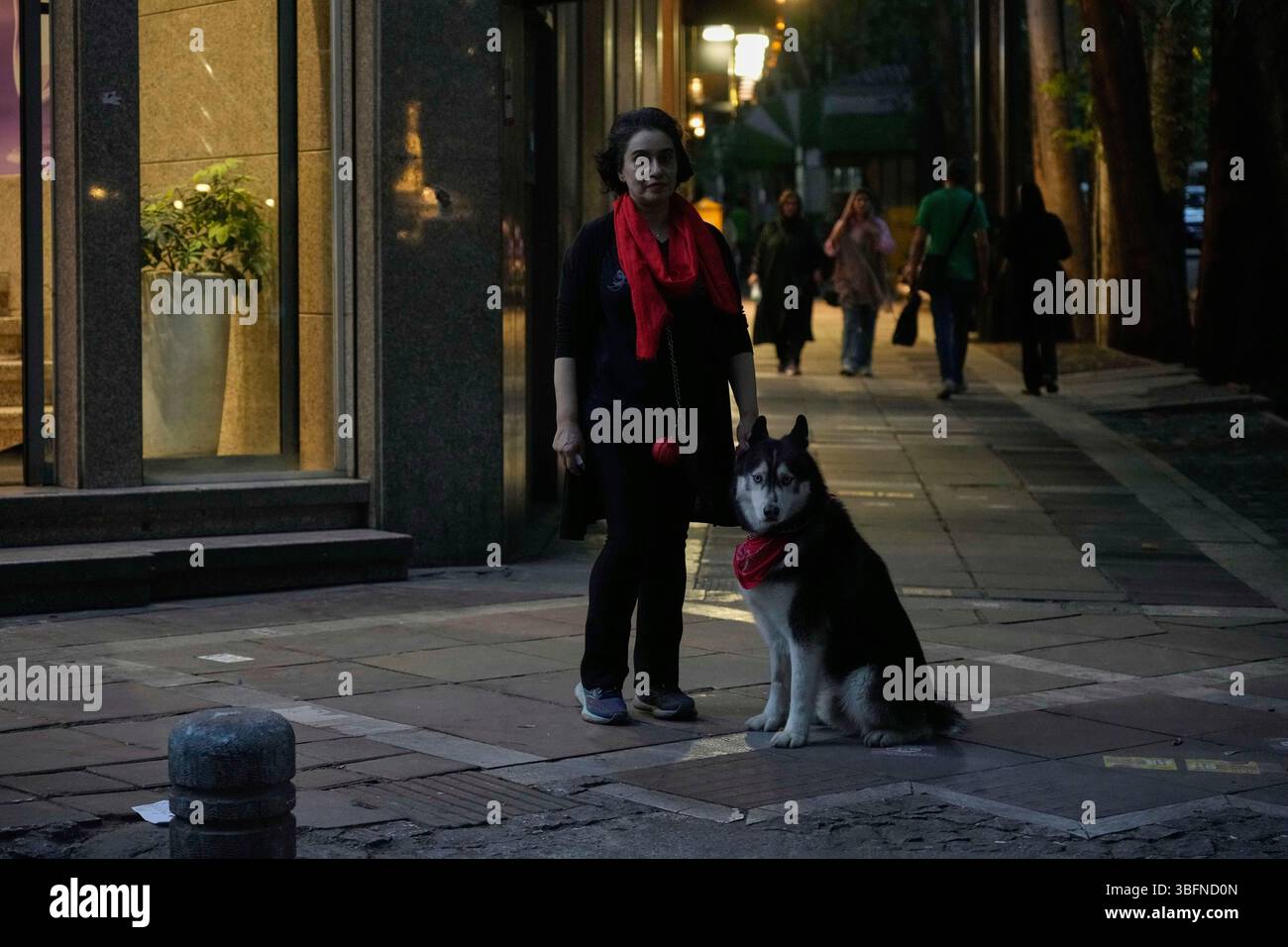 A woman stands with her dog, Lucifer, on a sidewalk in northern Tehran ...