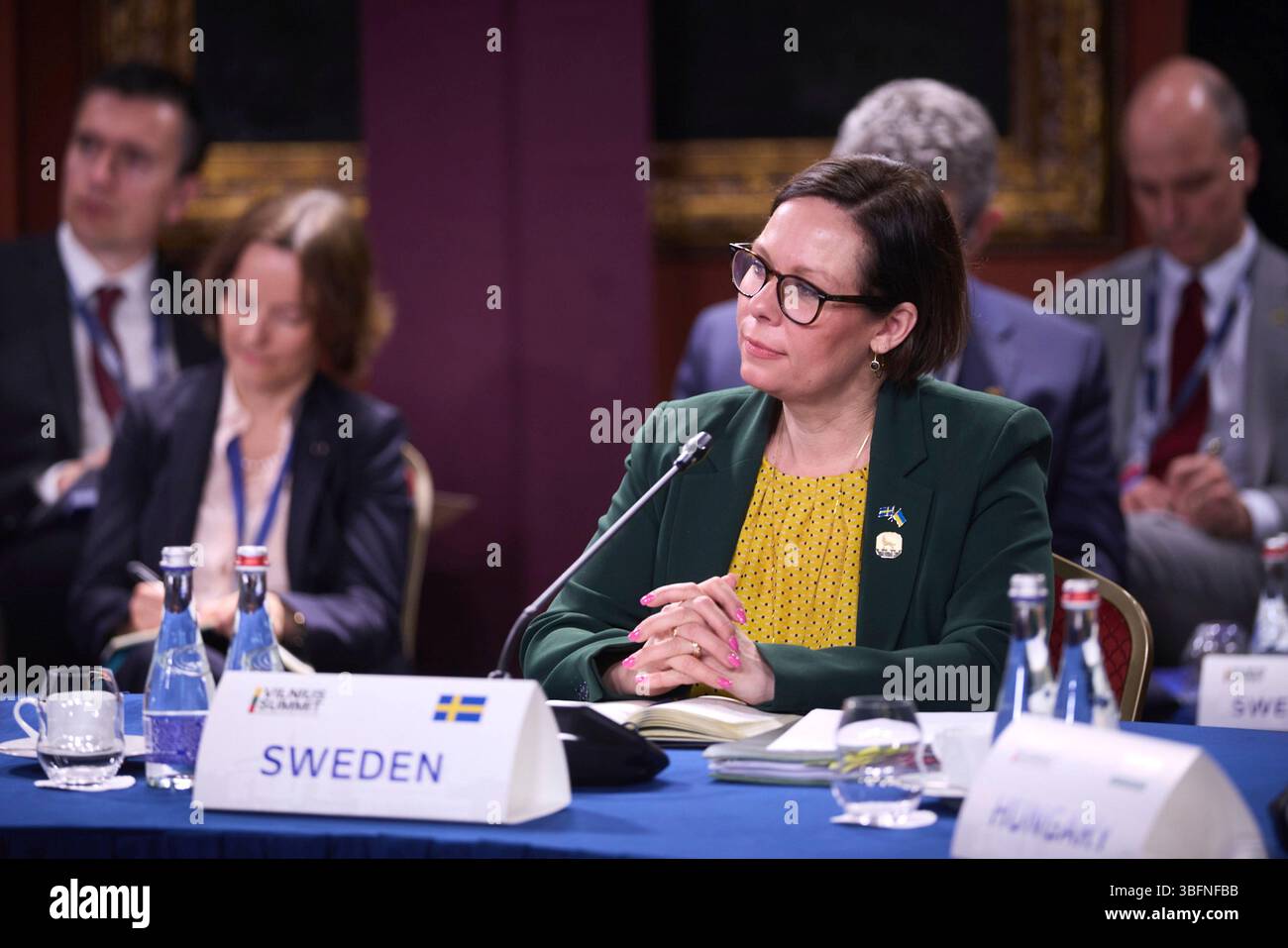 Vilnius, Lithuania. 02nd June, 2025. Swedish Foreign Minister Maria ...