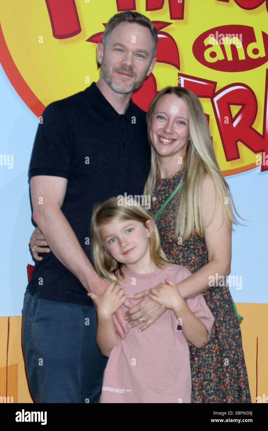 Los Angeles, USA. 31st May, 2025. LOS ANGELES - MAY 31: Shawn Ashmore ...