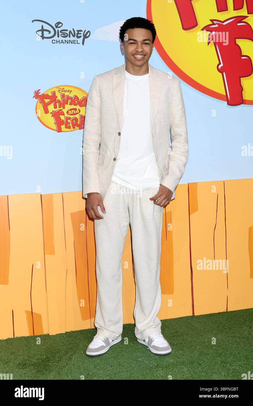 Los Angeles, USA. 31st May, 2025. LOS ANGELES - MAY 31: Shaun Dixon at ...