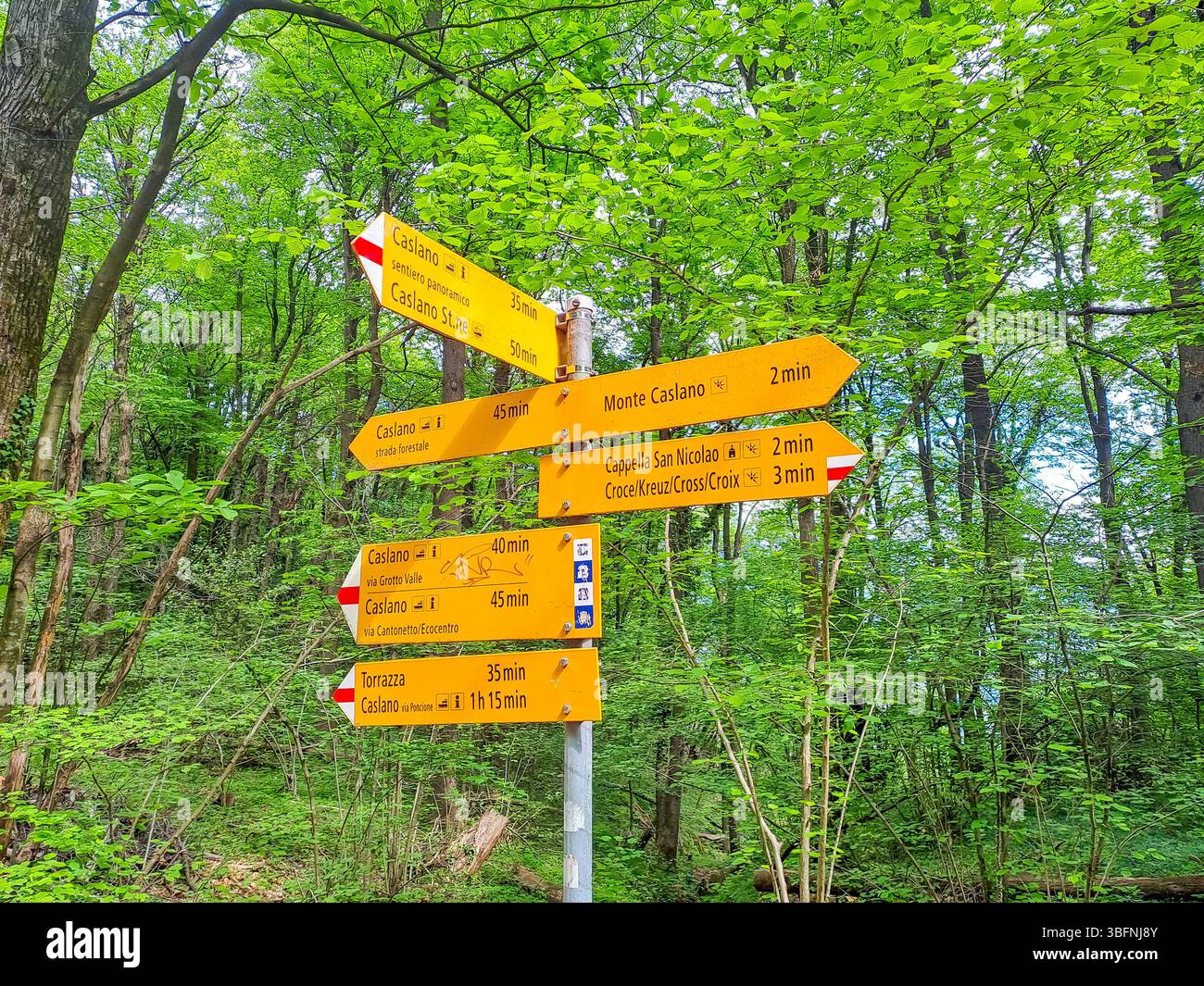 Caslano- Switzerland- 2 May 2025: Wooden signpost with yellow direction ...