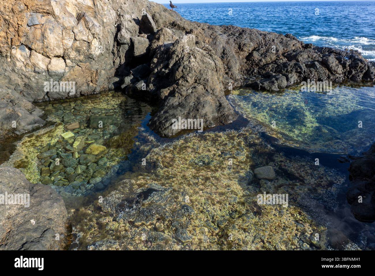 Paradise island tenerife beautiful spring hi-res stock photography and ...