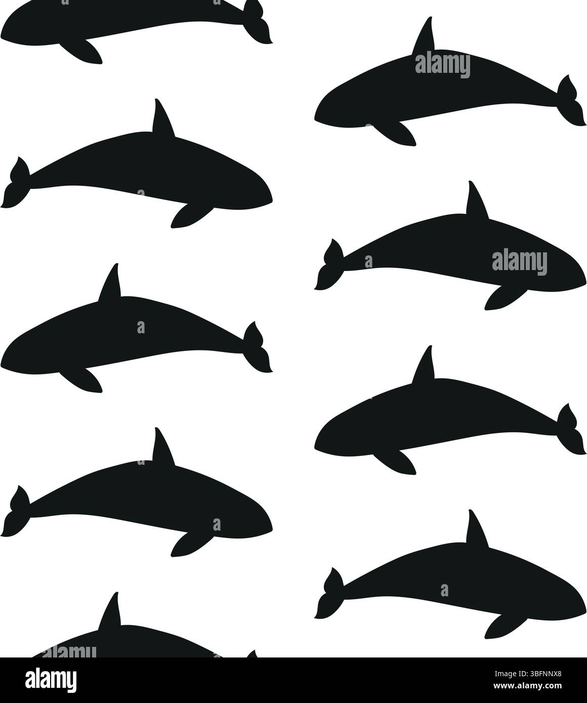 Vector seamless pattern of killer whale silhouette Stock Vector Image ...