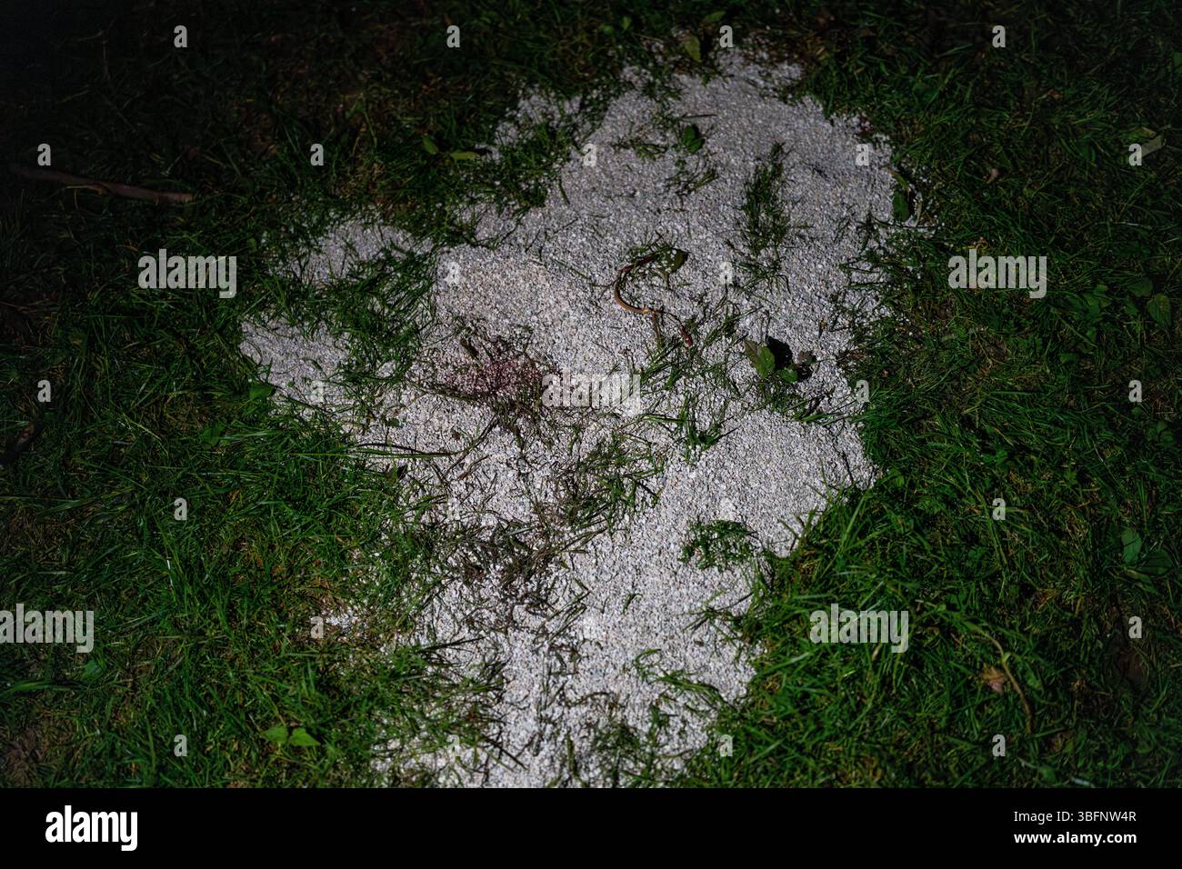 Falling off scooter hi-res stock photography and images - Alamy