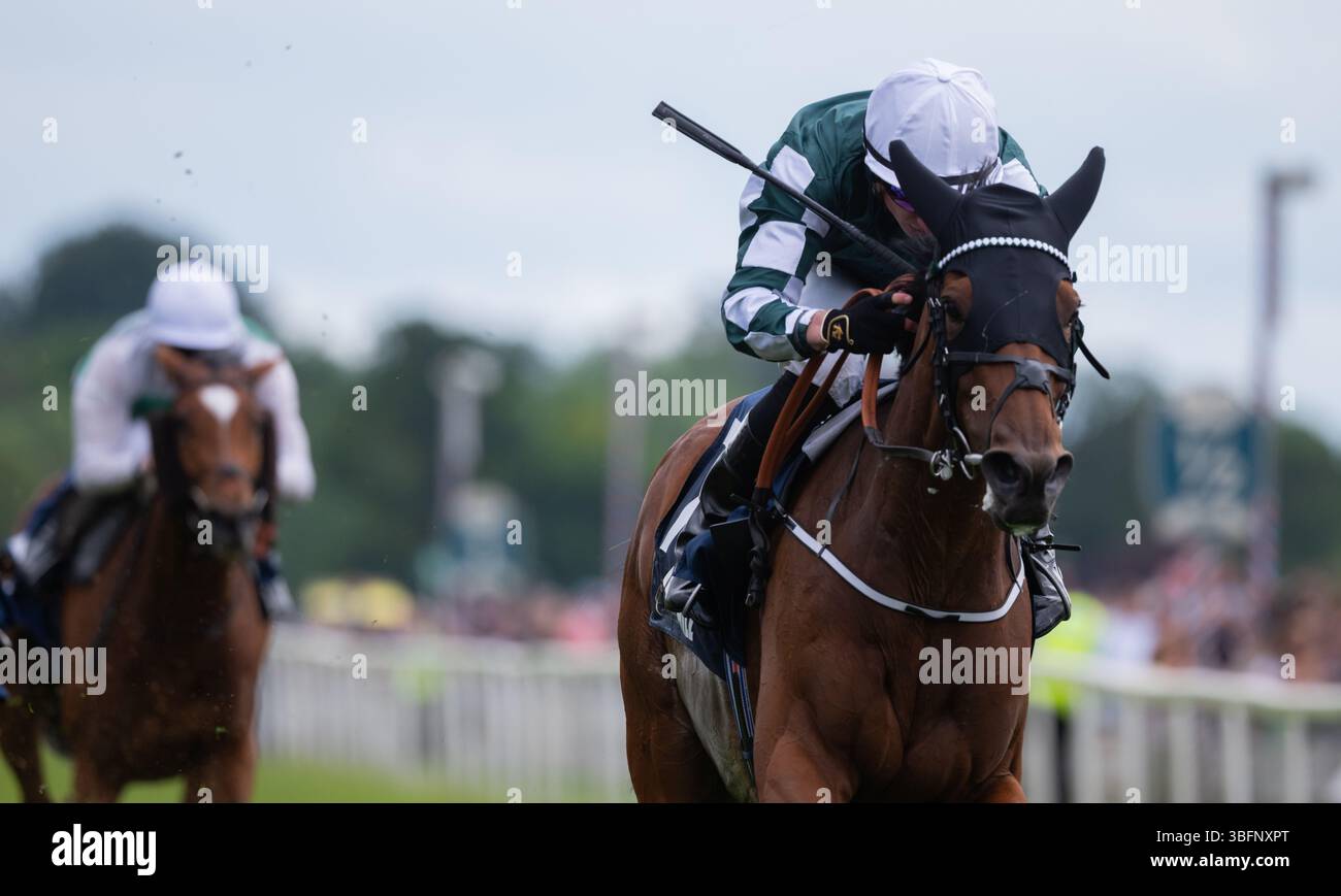 Term of endearment york hi-res stock photography and images - Alamy