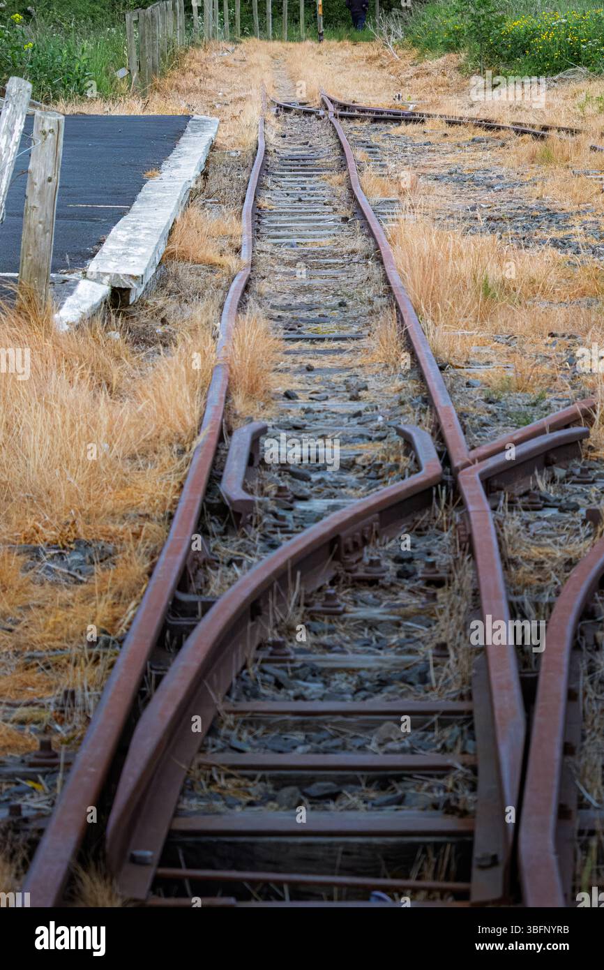 Woodhorn Colliery, disused coal mine, featuring overgrown and abandoned ...