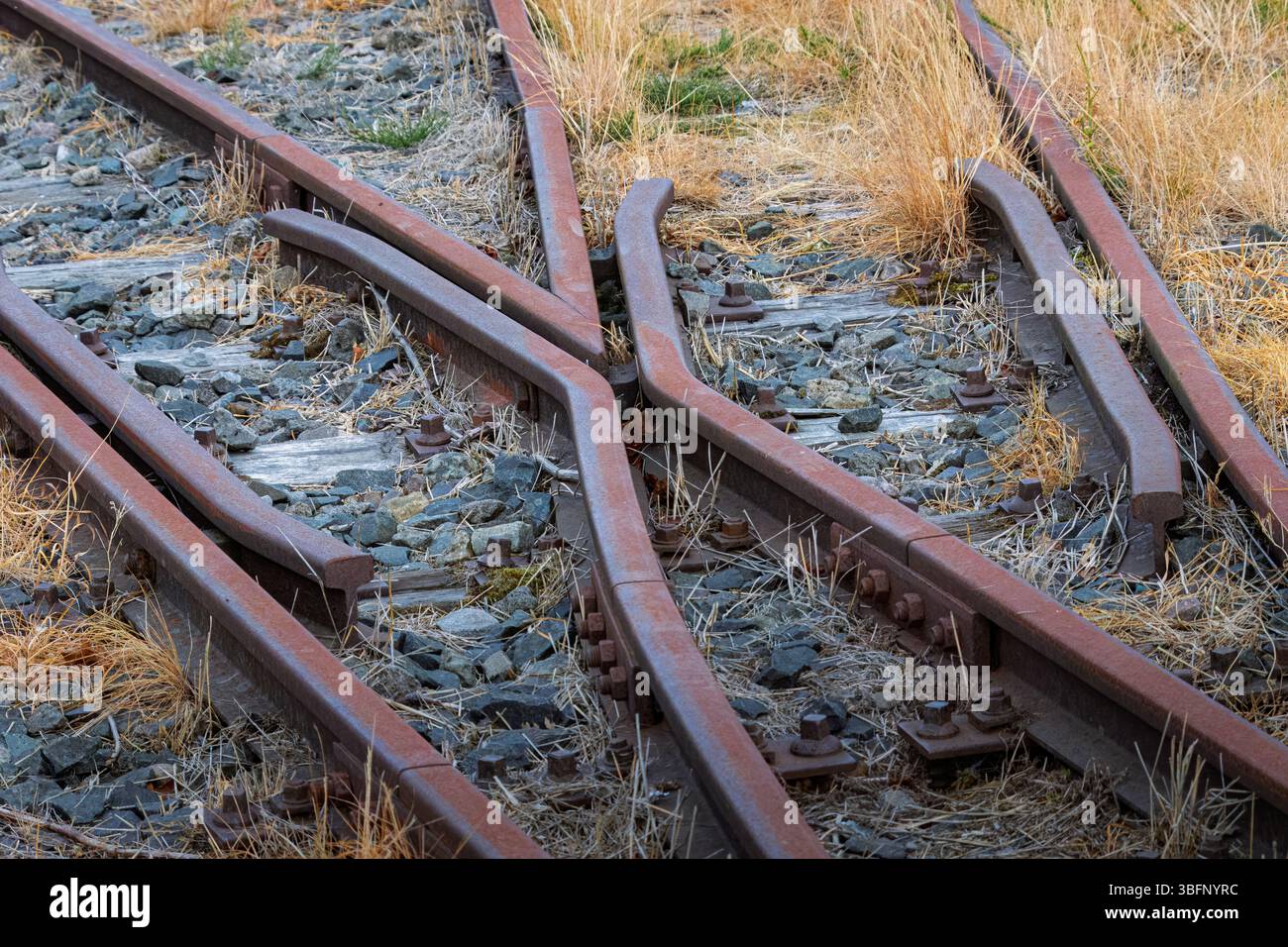 Woodhorn Colliery, disused coal mine, featuring overgrown and abandoned ...
