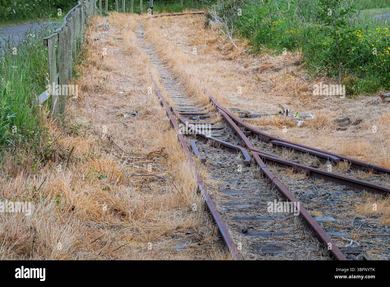 Woodhorn Colliery, disused coal mine, featuring overgrown and abandoned ...